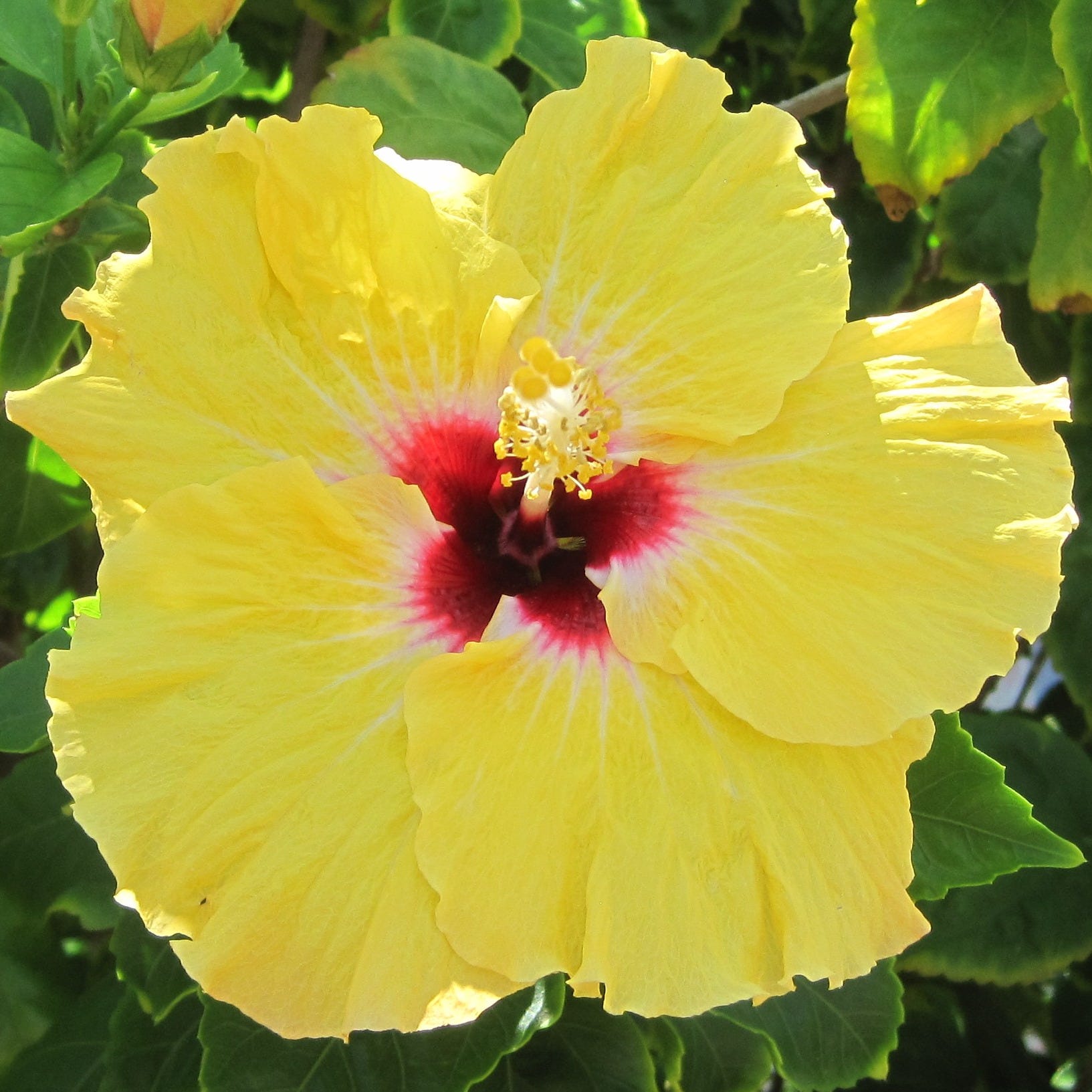 Emily C. Donaldson | Substack