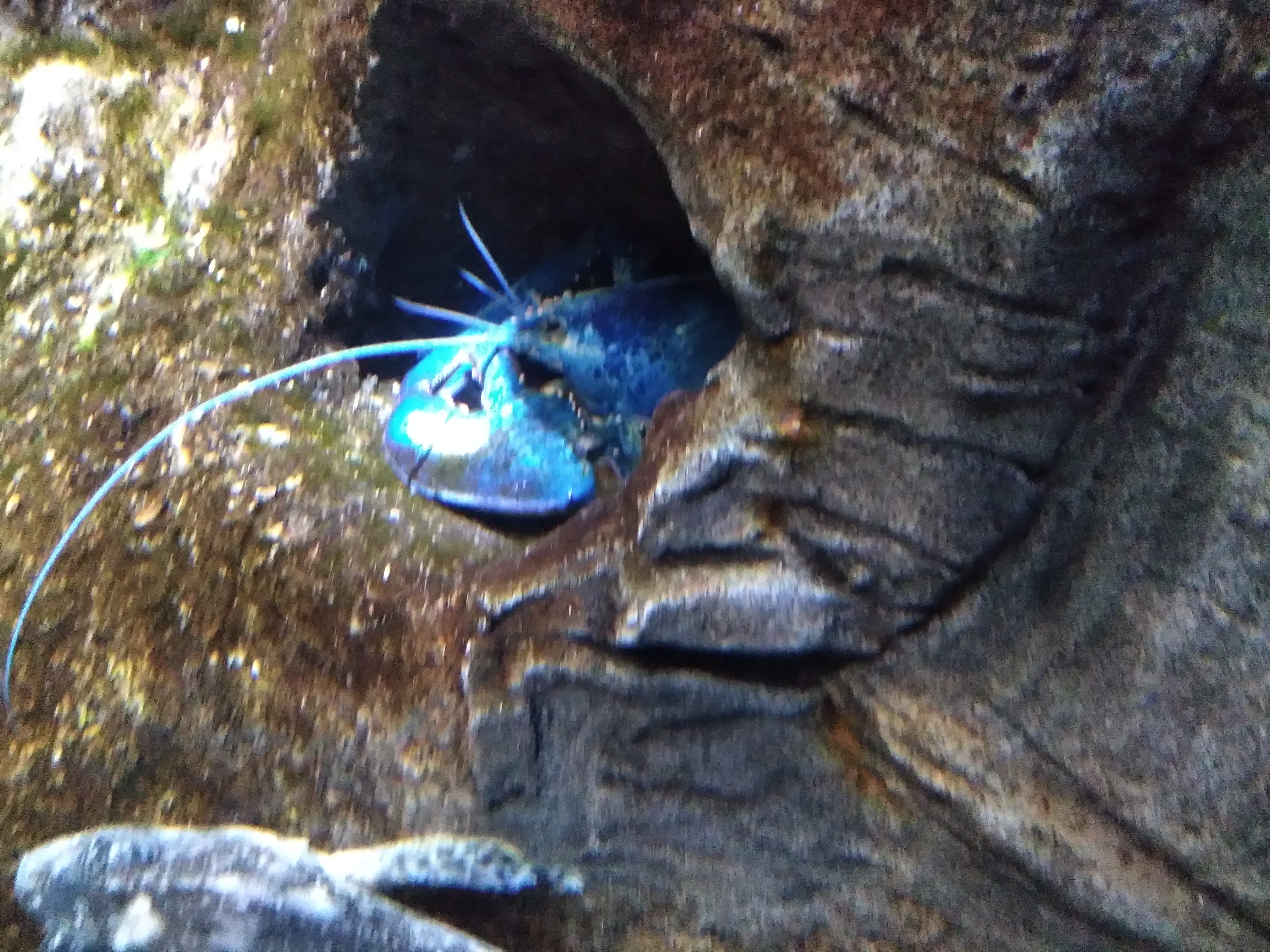 Day Trip Photo Roll #3B: The Aquarium 2 - PCS Nation