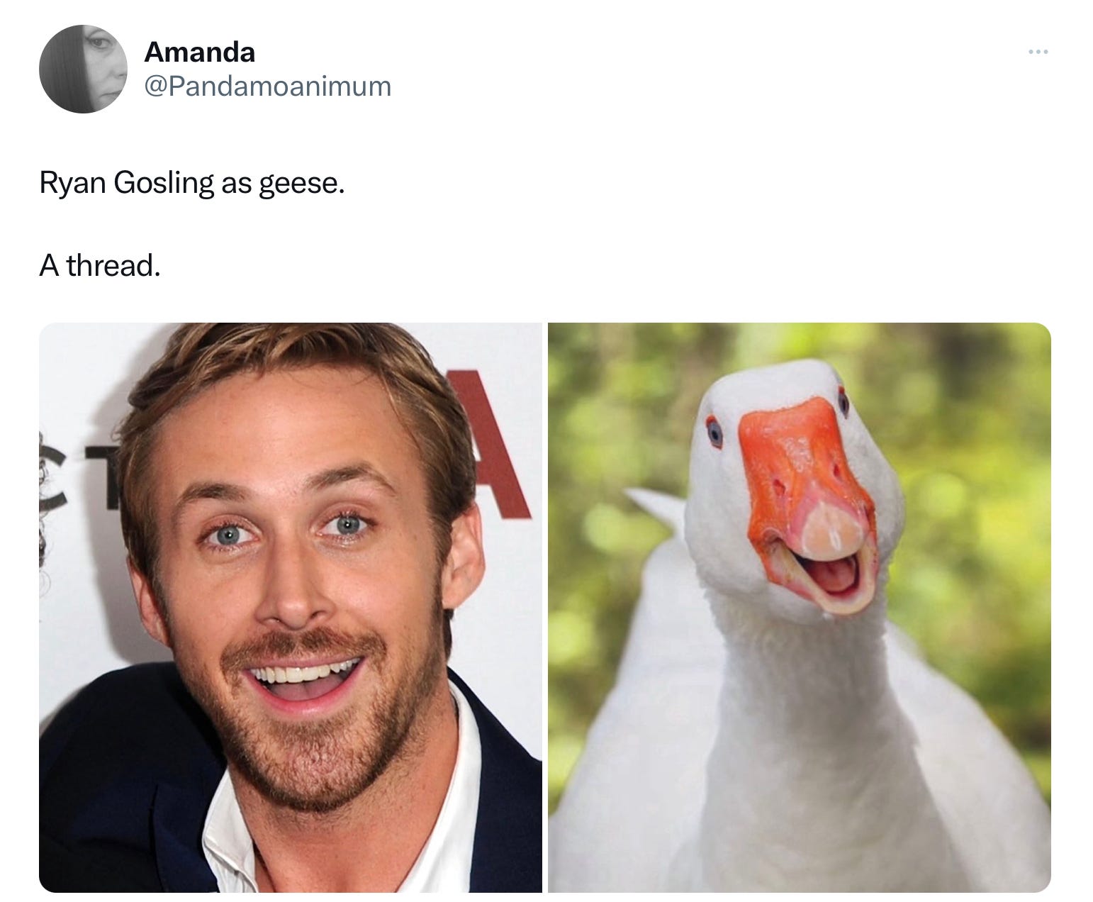 The Week in Tweets (Xs?) and Memes - by Jay Kuo