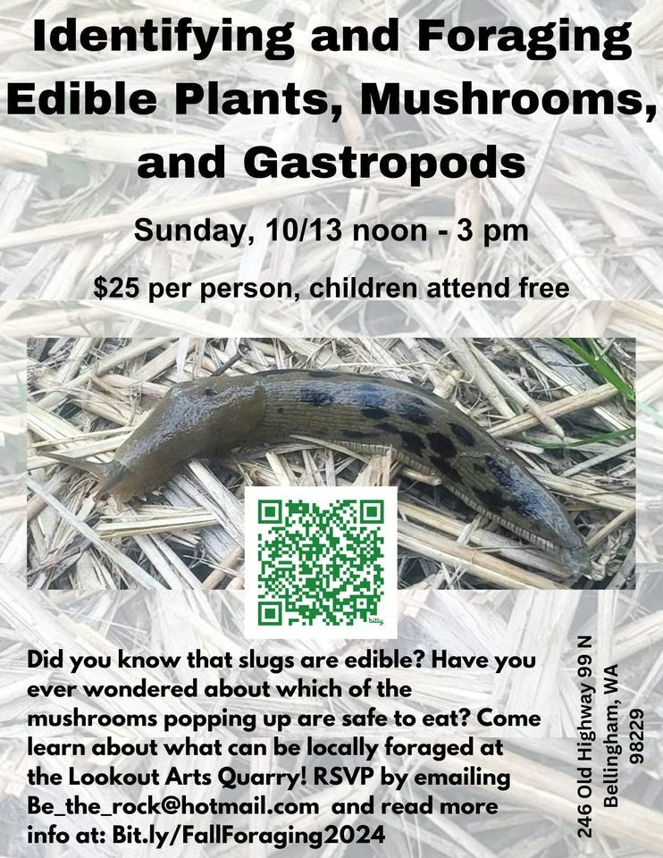 Learn to Forage this Sunday + AIR Show on November 4th