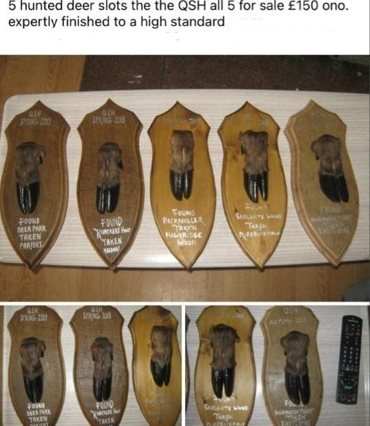 The Secret Monitor: Stag hunting not cruel enough?