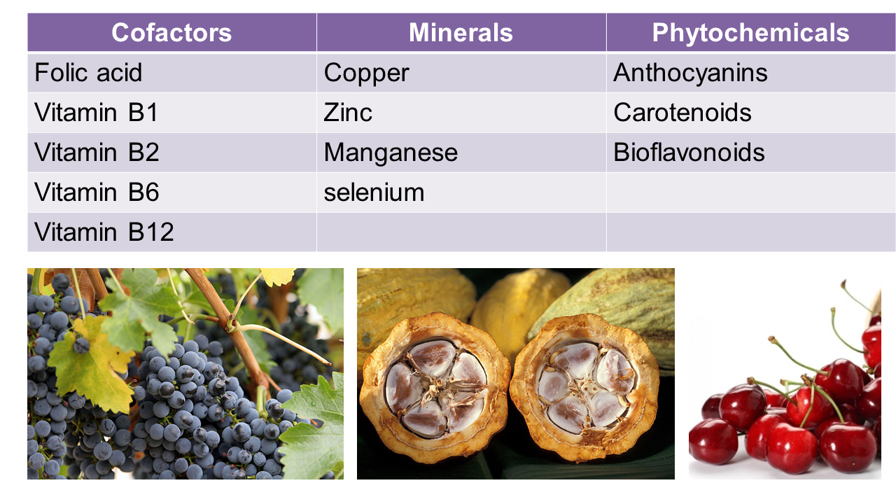 Antioxidants: What are they and why do we need them?