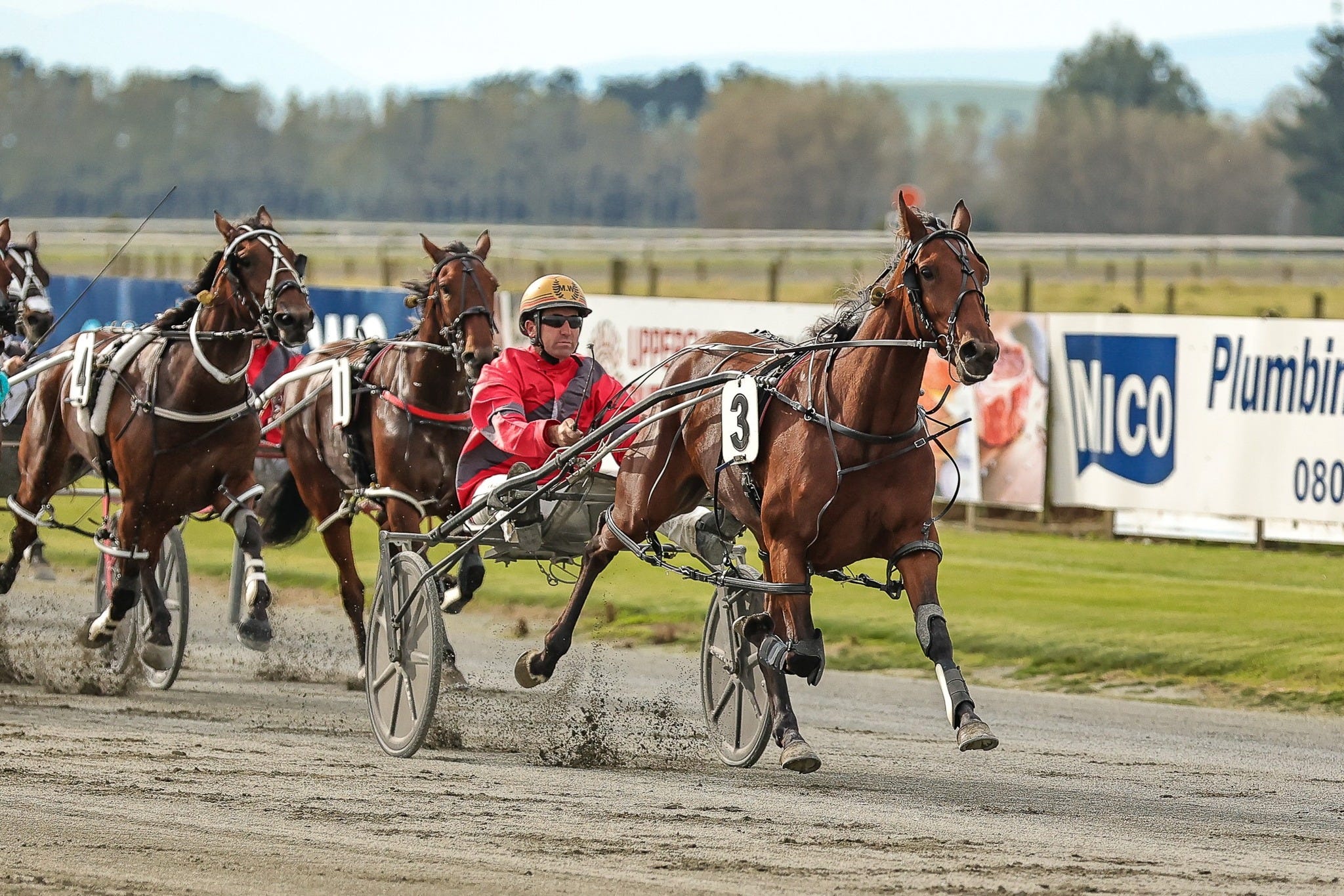 Spotlight on Southland Sport: Sunday Special