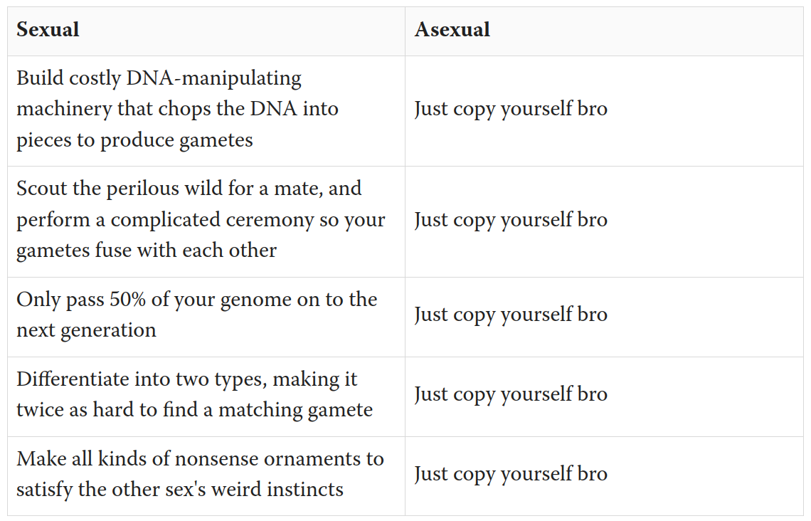 The talk: a brief explainer of sexual dimorphism