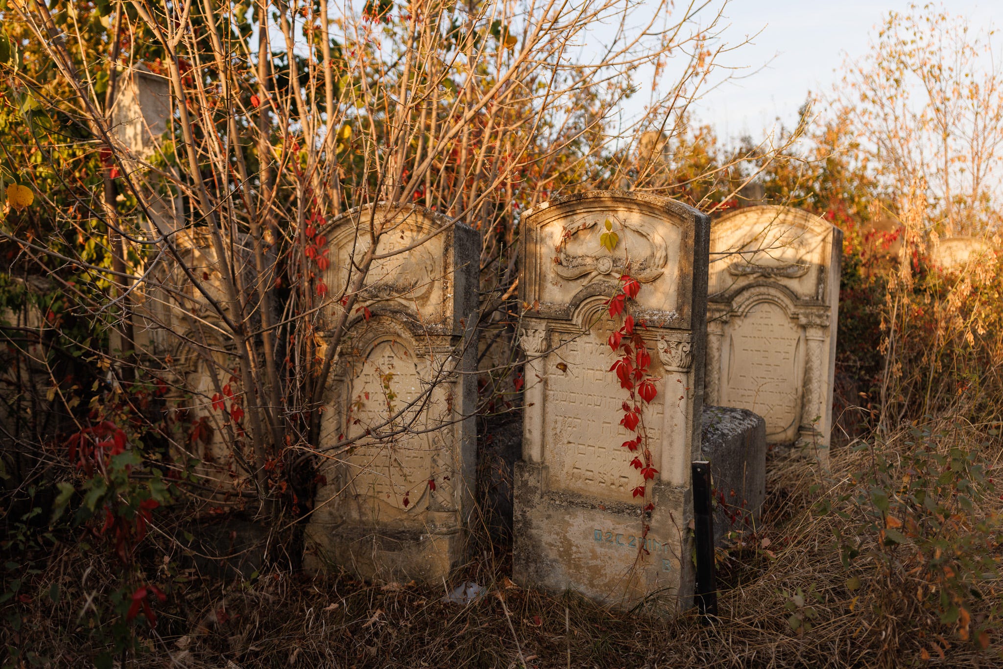 Conace si case boierești din județul lași