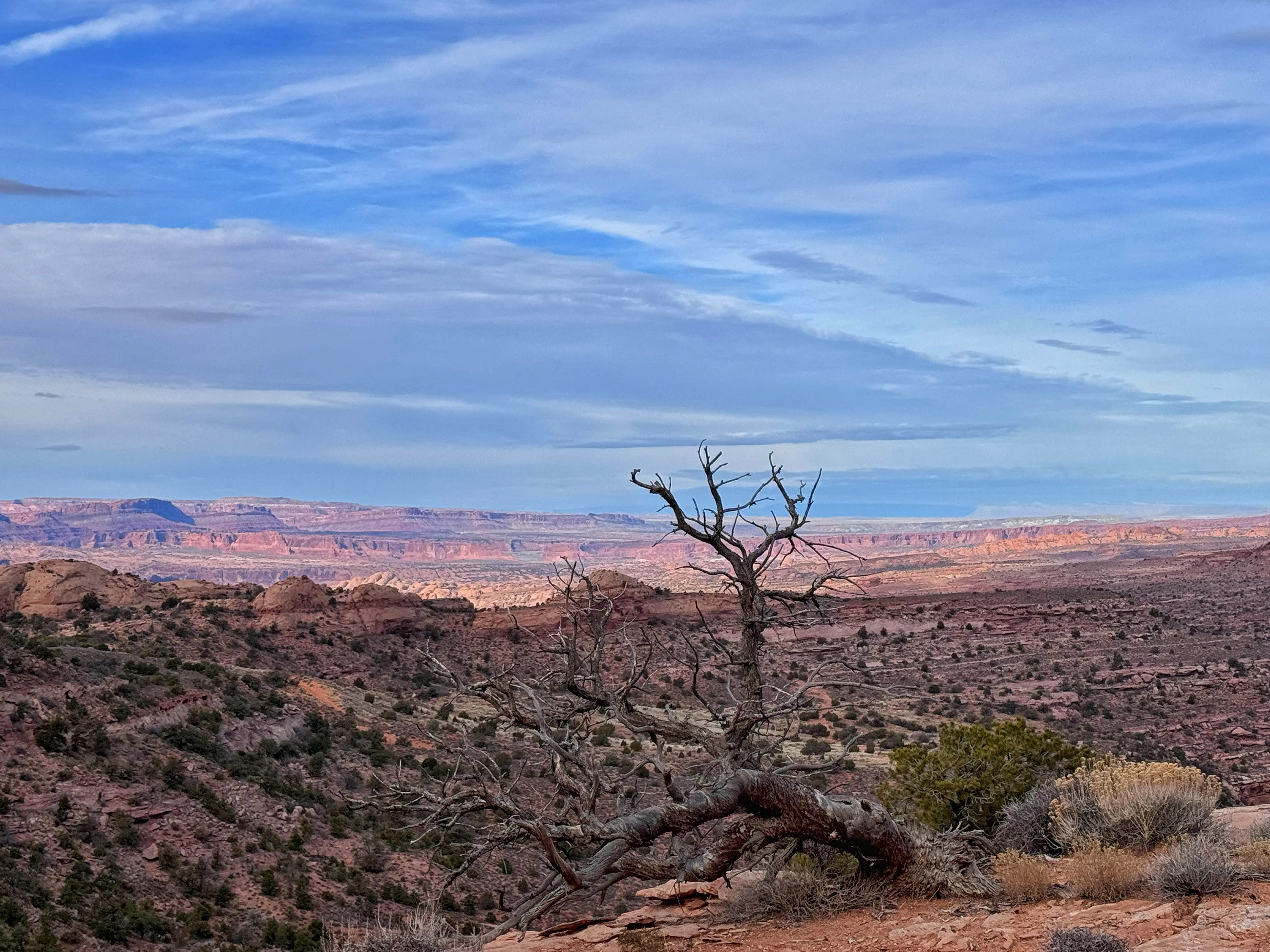 These Moab Days - Tom Ryan, Author