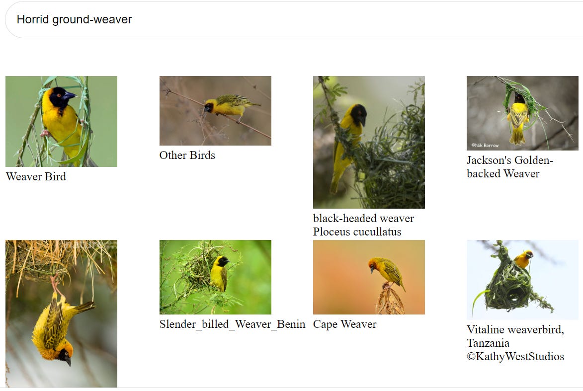 3 "Limitations" of Stable Diffusion and the Power of Fine-tuning