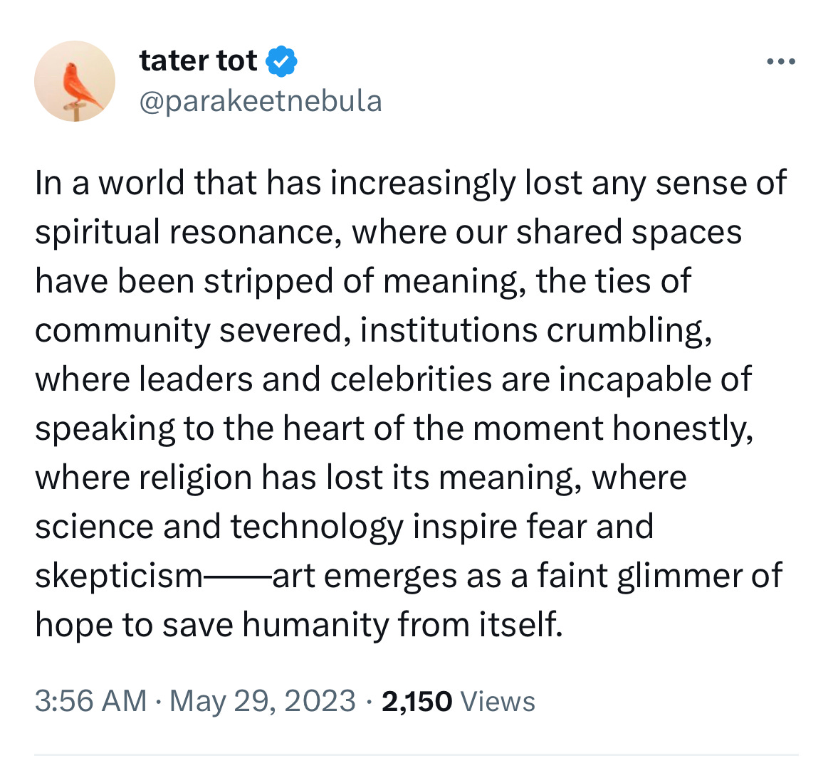 DON’T LOOK AT THE JAR - Parakeet’s Substack