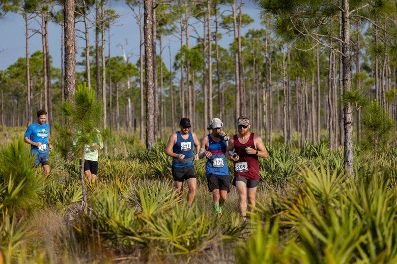 13 Florida Half Marathons You'll Love Running in 2025