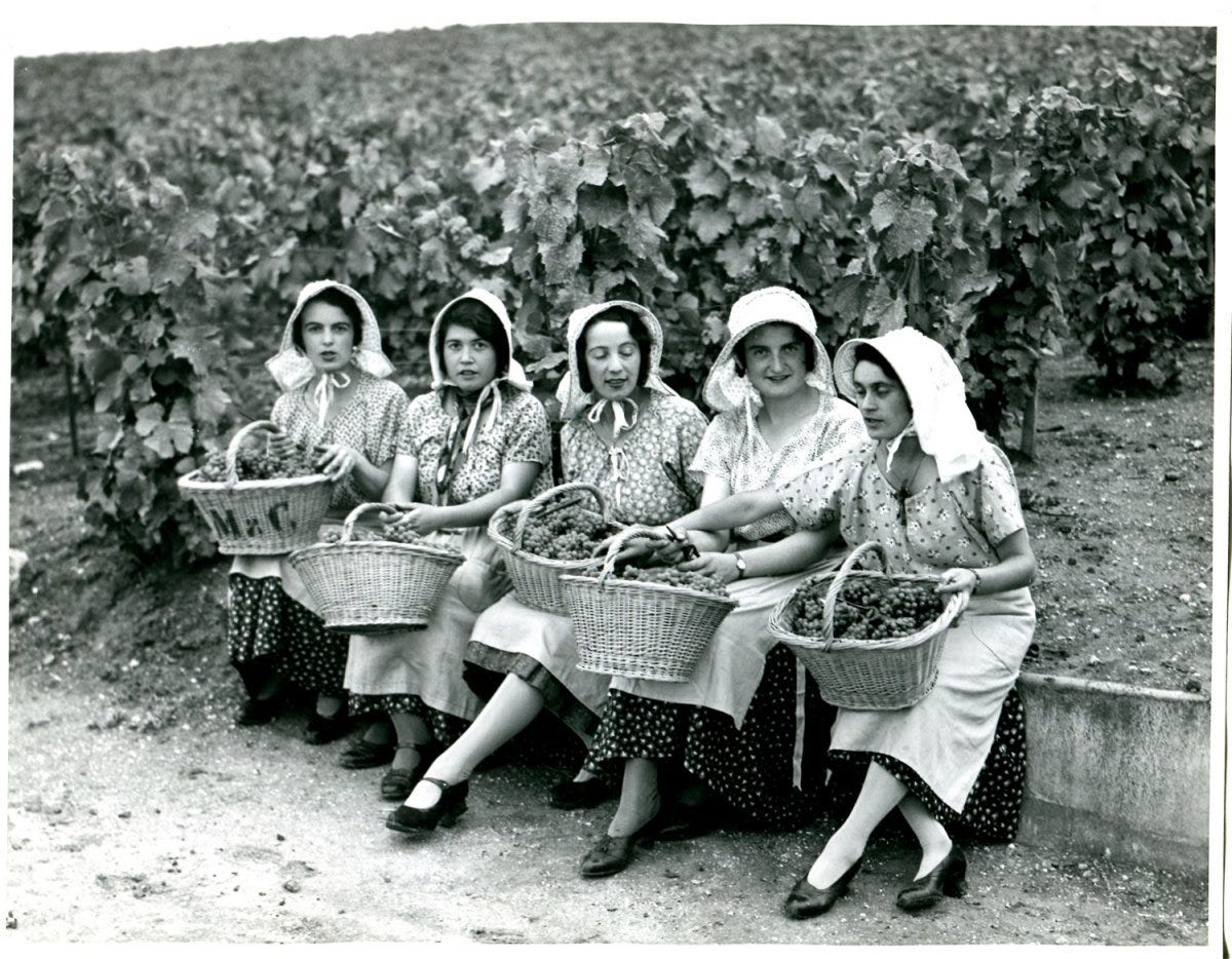 Mapping Champagne - by Tom Hewson