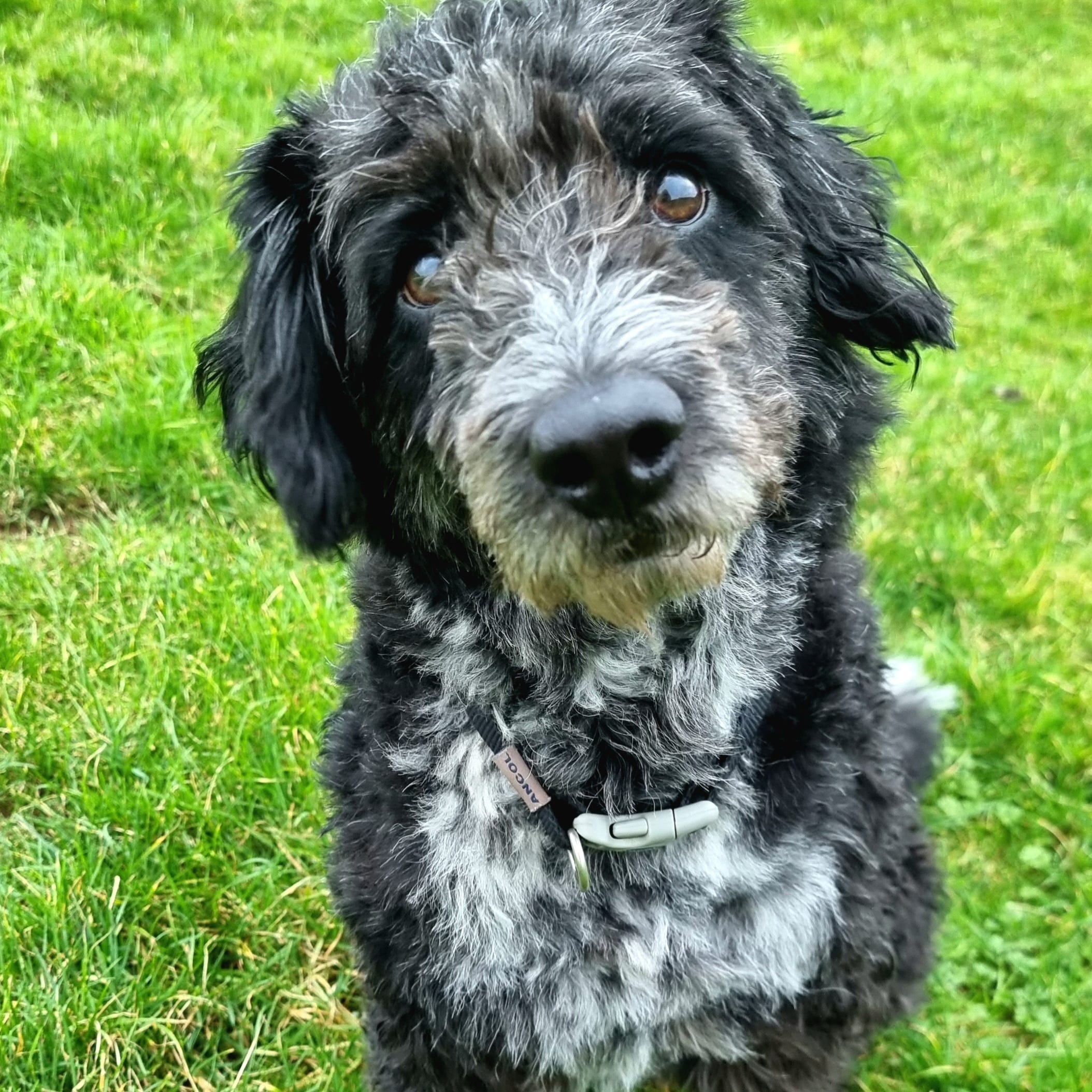 Christmas and New Year Update - by George Mahood