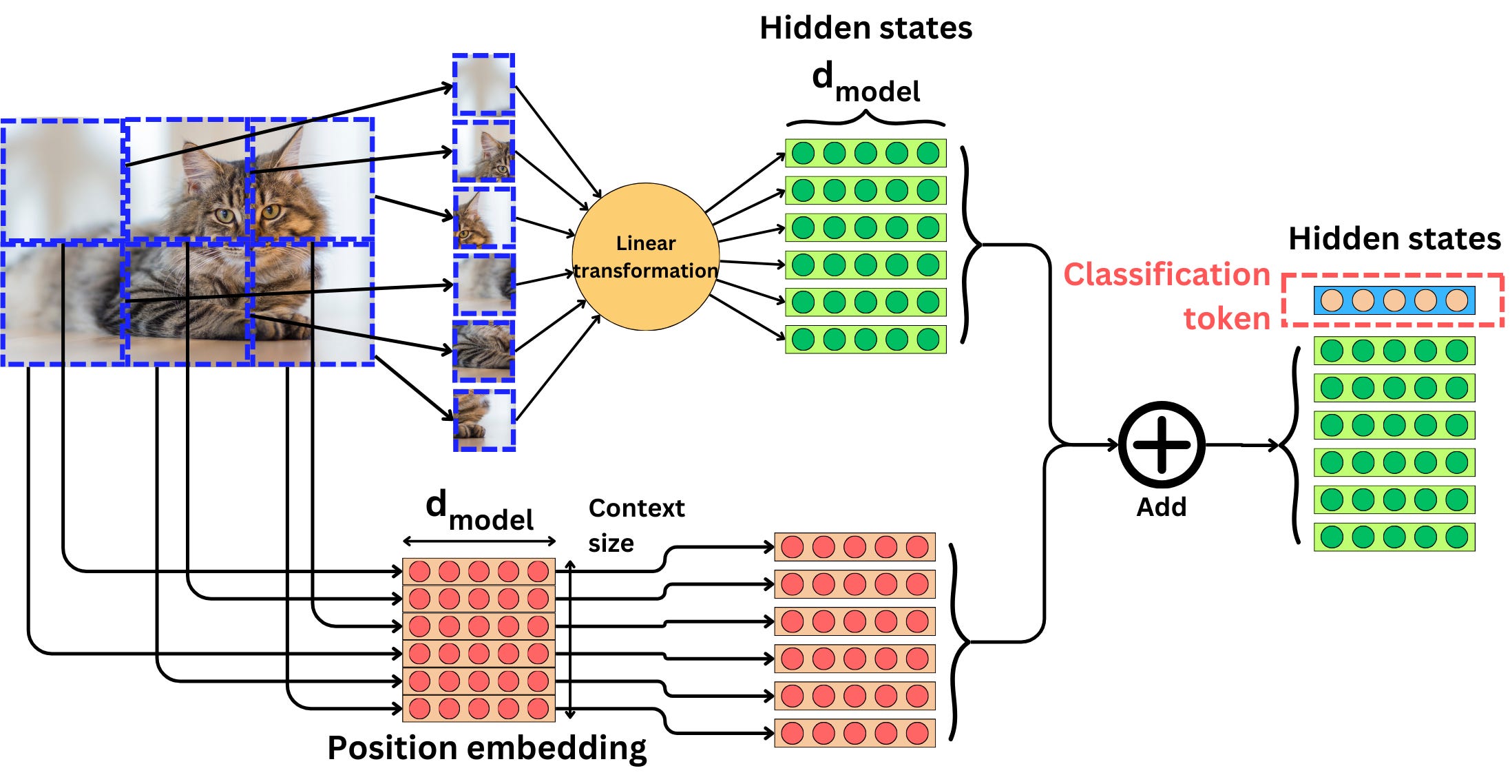 Beyond LLMs: The Vision Transformer - by Damien Benveniste