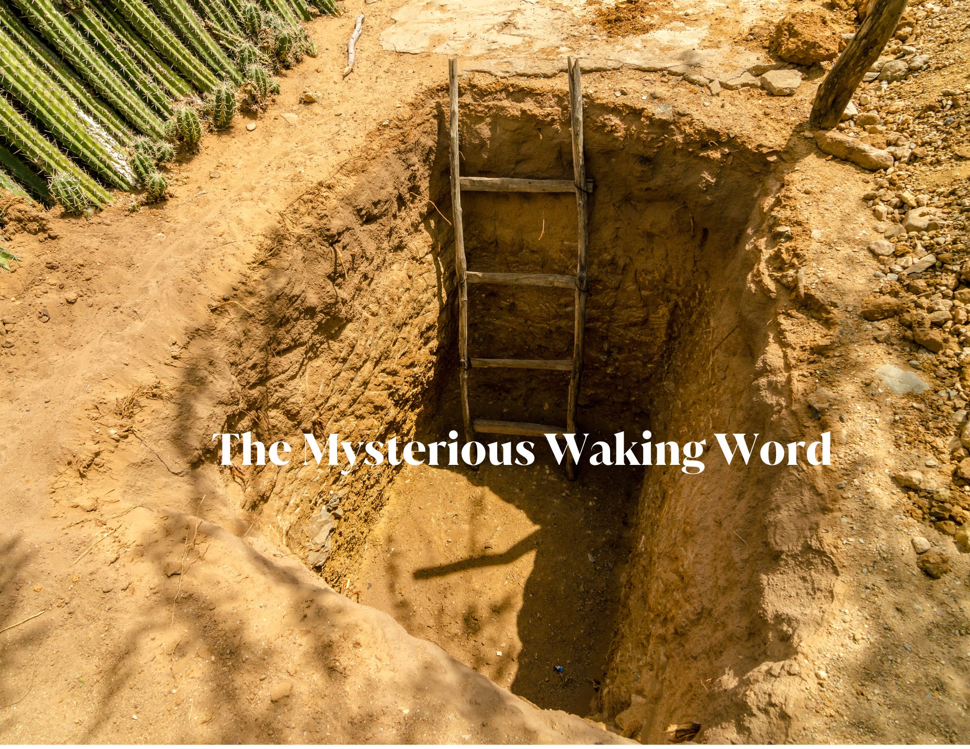 The Mysterious Waking Word - by Latayne Scott