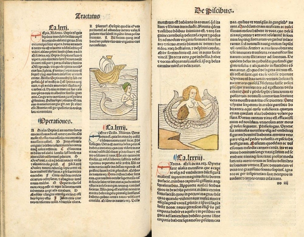 Why Early Modern Books Are So Beautiful