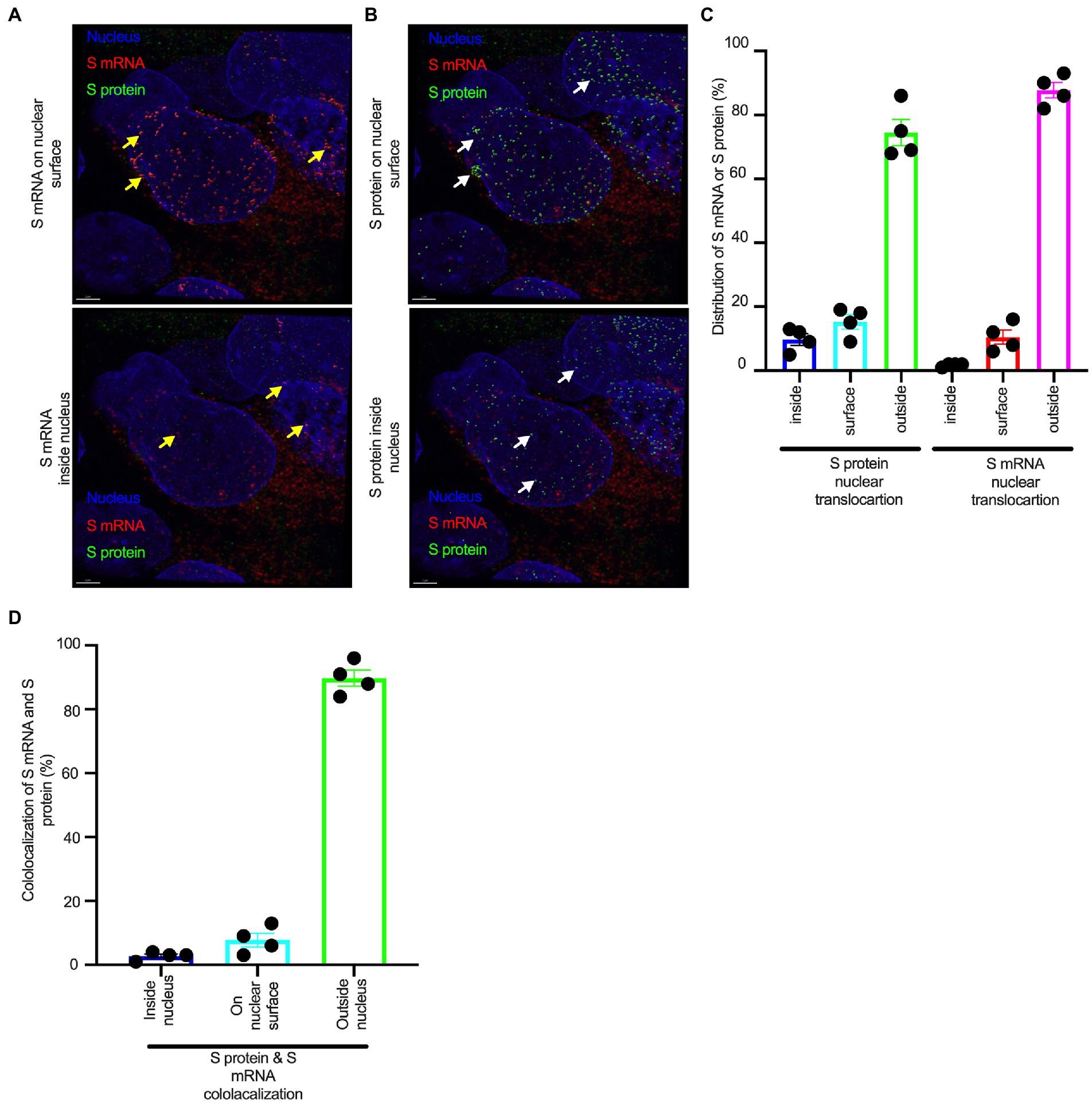 SARS-CoV-2 Spike Protein, Binding Affinities to Associated Markers ...