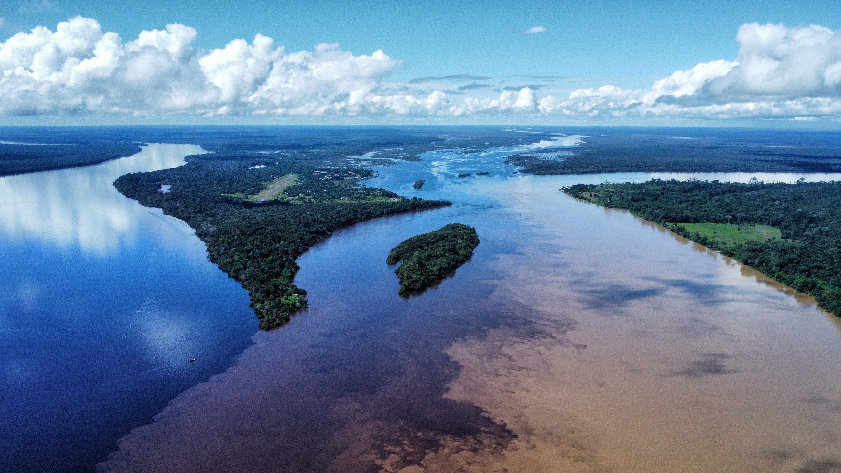 Estrella Fluvial del Inírida - by Óscar Iván Pérez H.