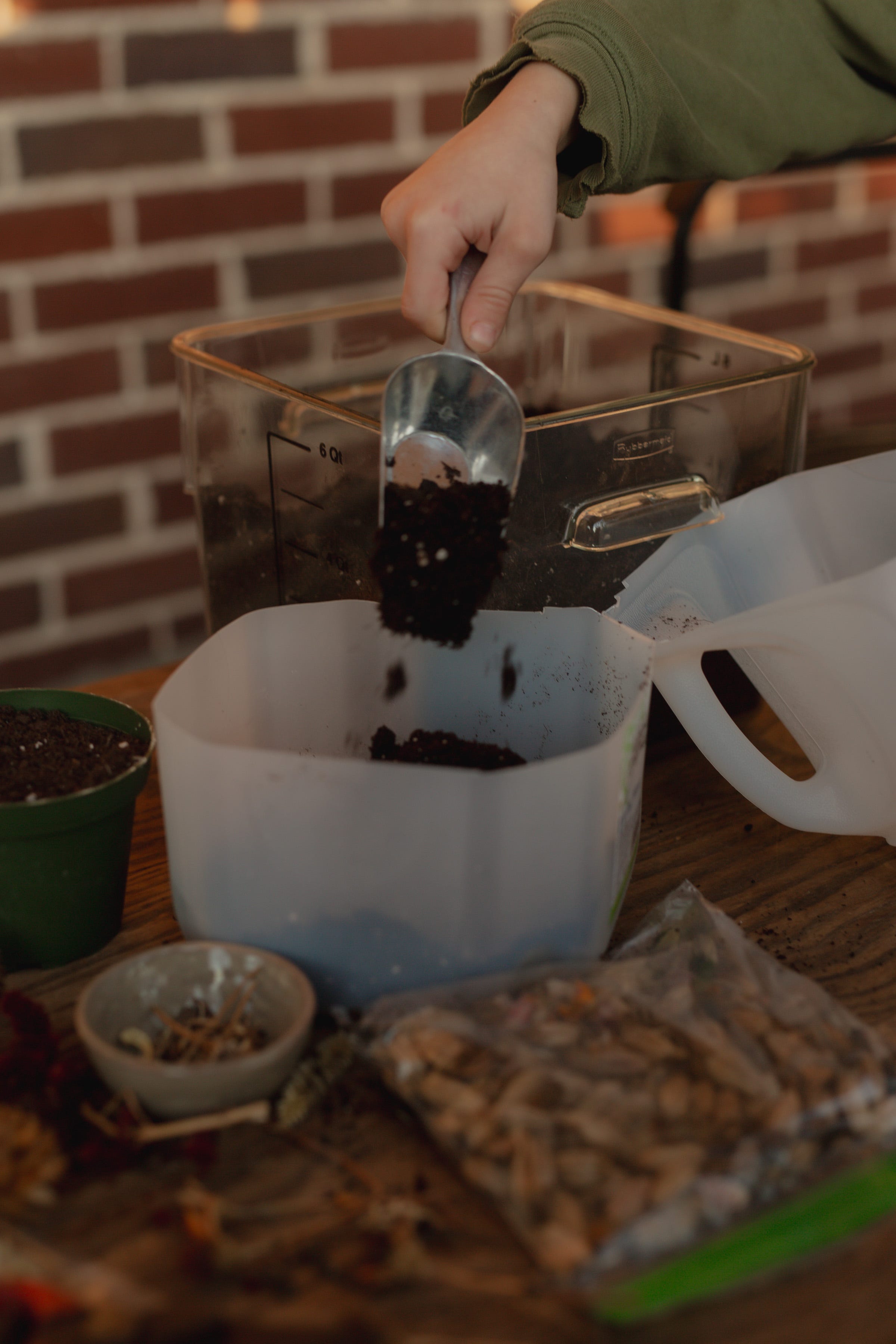 The Beginner's Guide to Winter Sowing - by Emily Leake