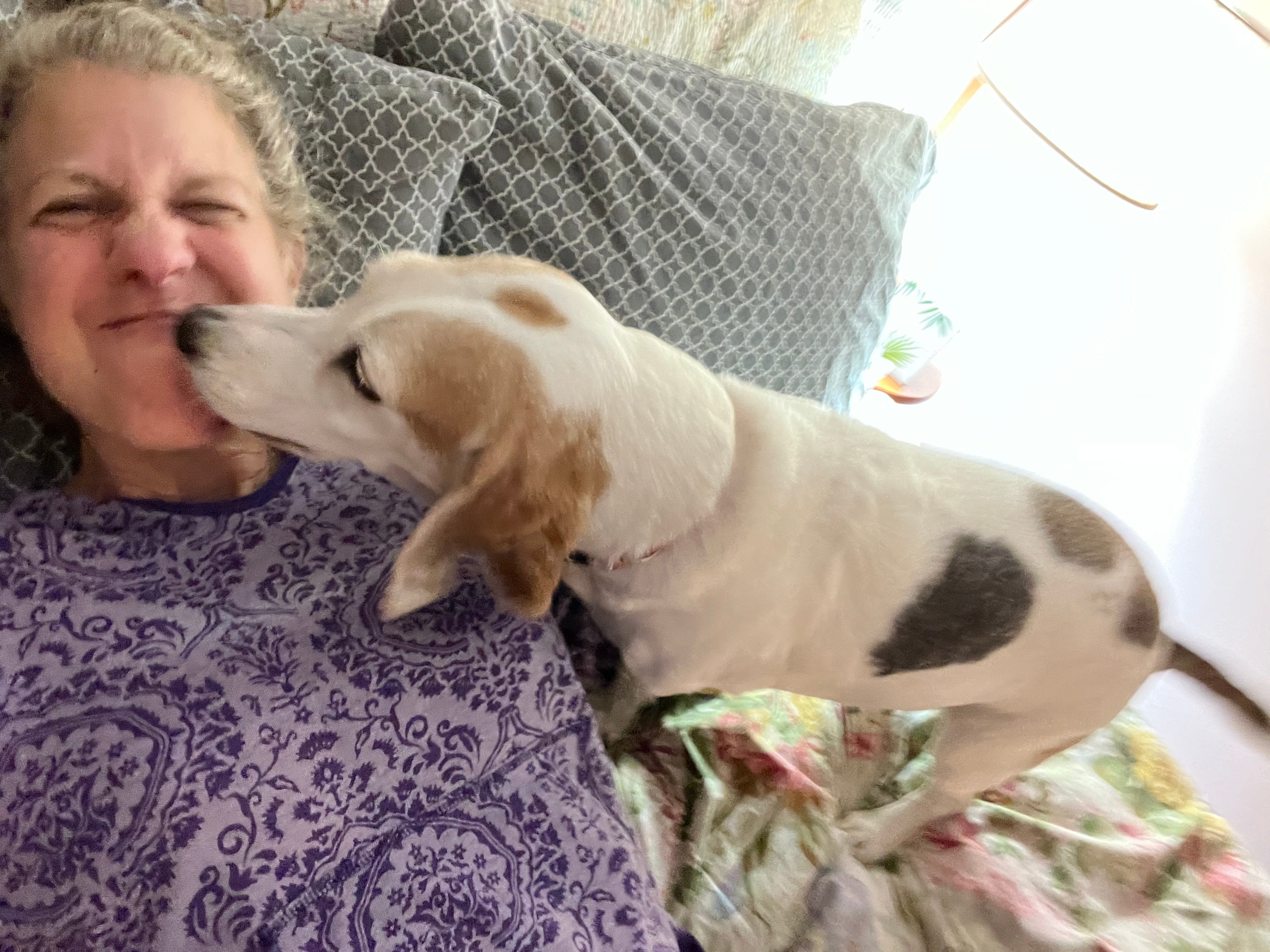 Come Connect on Zoom Tonight - by Gail Marlene Schwartz