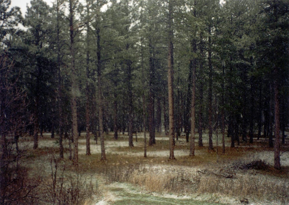 A Home in the Hills - by Tonya Morton - Juke