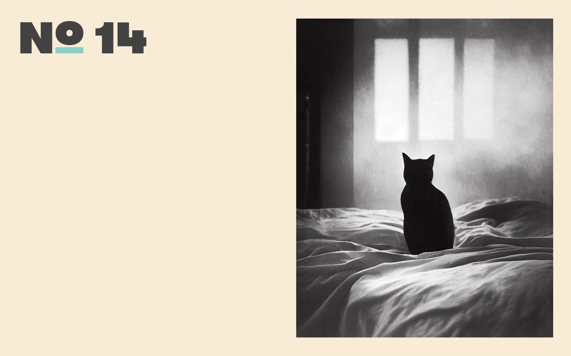 Pawfect News | Substack