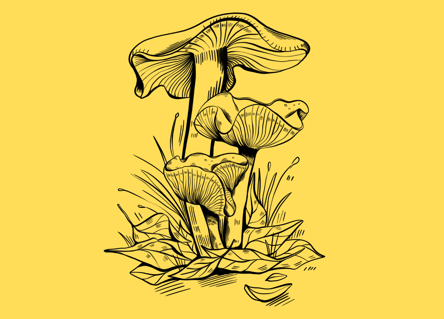 Mycophobia: Why We Fear What We Don’t Understand 🍄