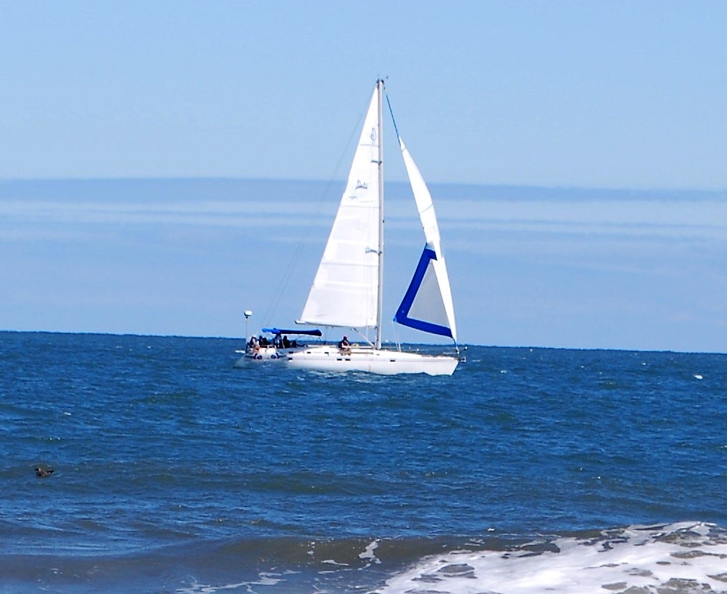 Rhizolith’s Substack subscriber chat