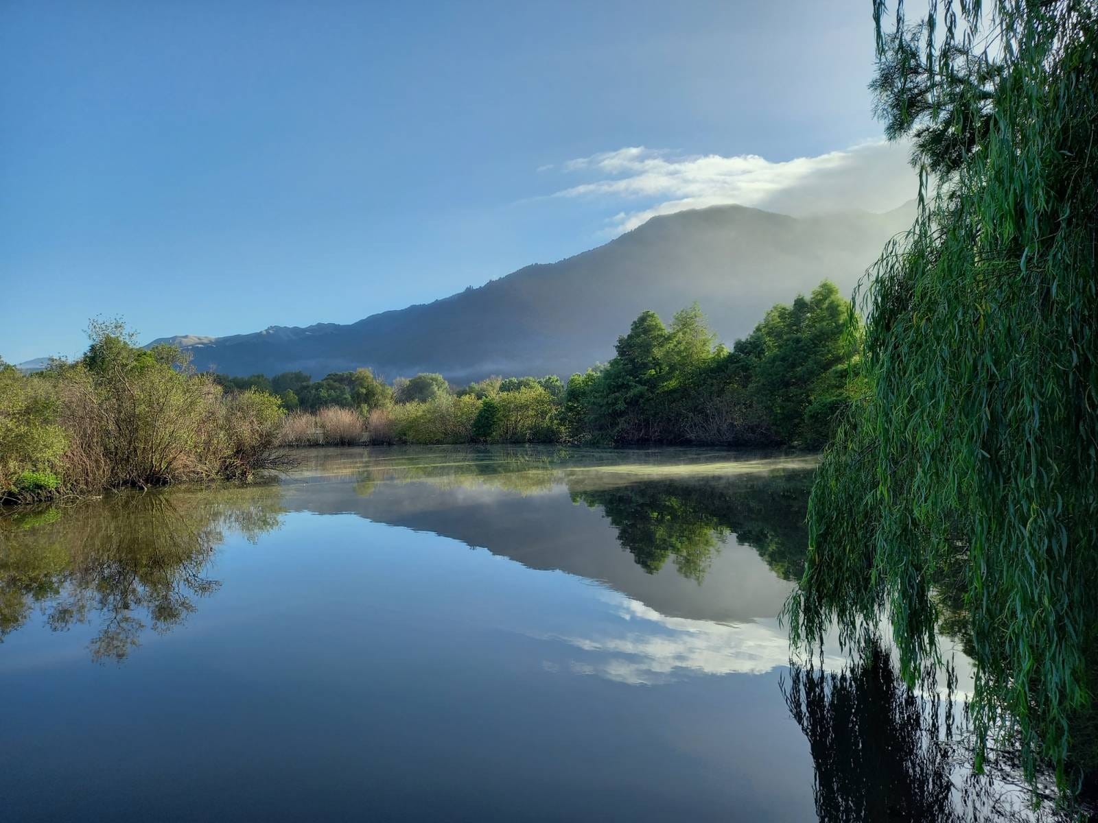 Monthly Supporter Update - March - Pendulum by Penny Marie