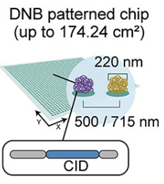 Landscape of Sequencing-based Spatial RNA Technology: Part I