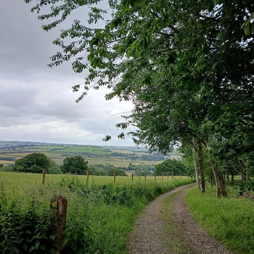 No, Jacob Elordi cannot play Heathcliff. Sorry. - by Eliza