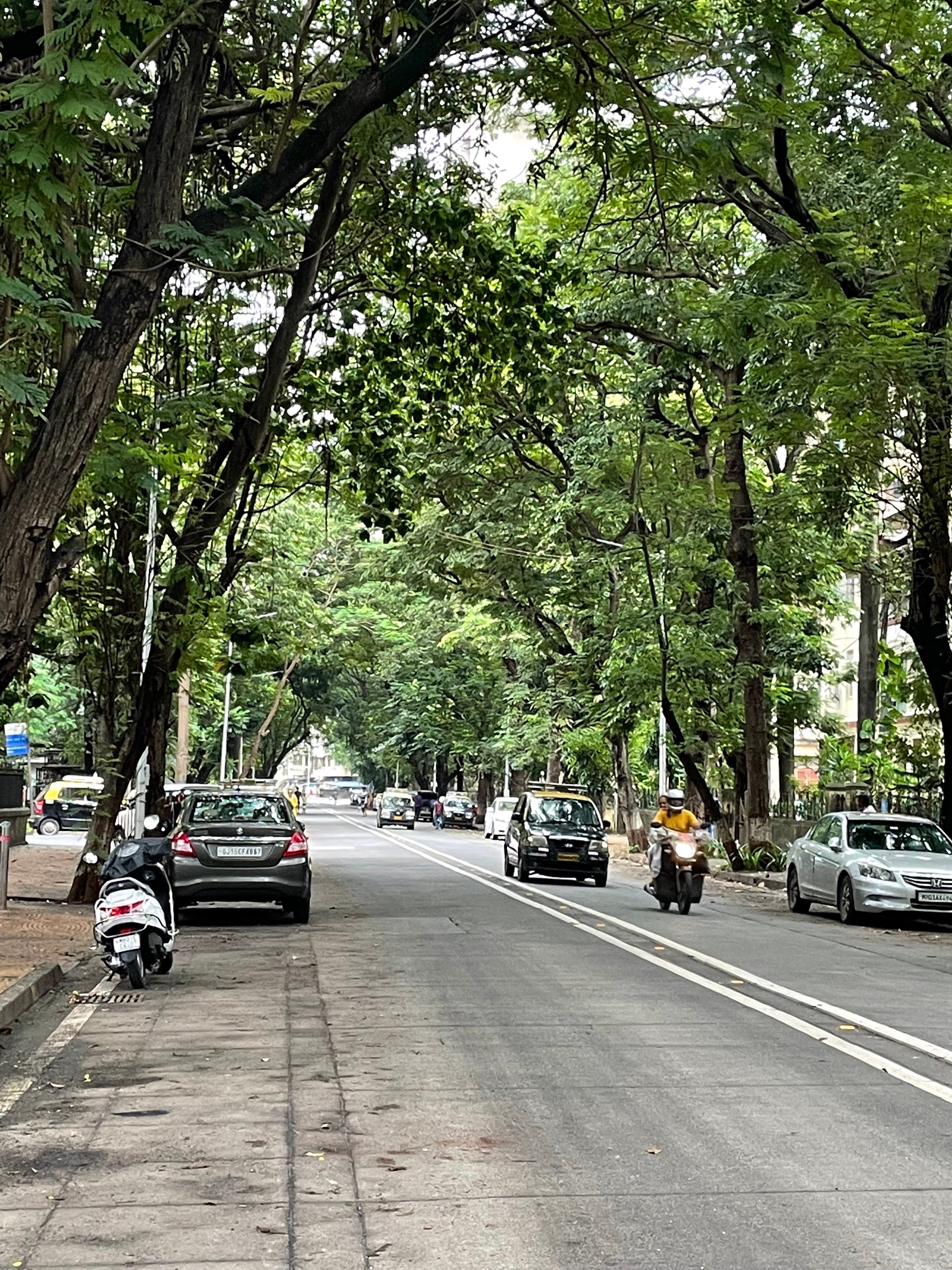 Why Mumbai's Dadar Parsi Colony, a Zoroastrian enclave, and my birth ...