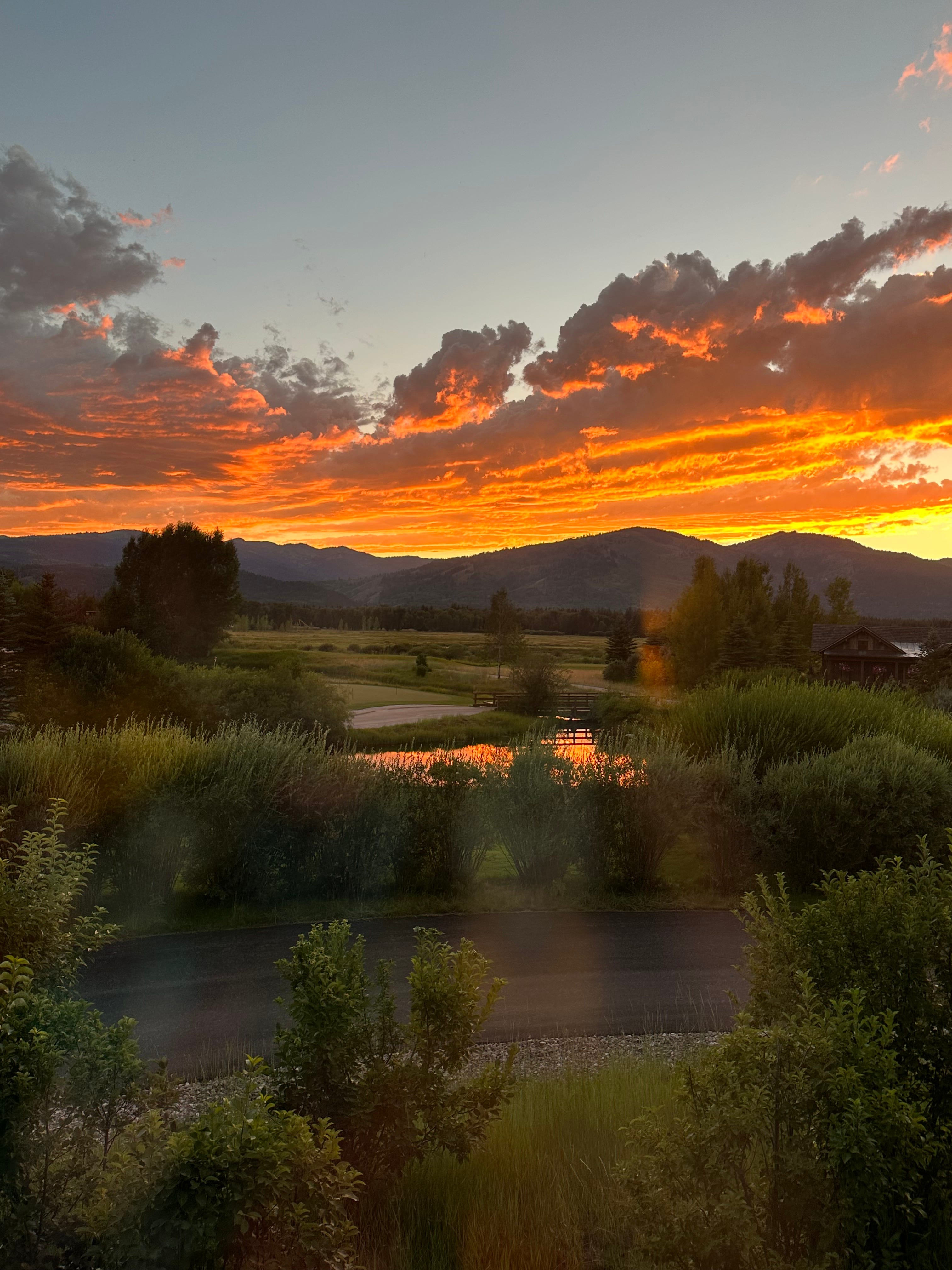 The Sunset Insta Stories Phenomenon - by Lanie Brice