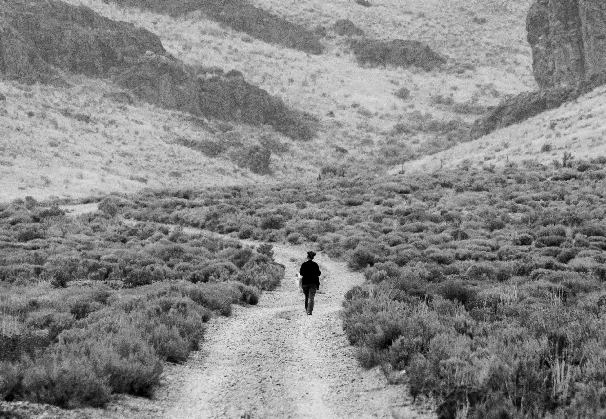 Welcome to Biocentric Max Wilbert — Author, Organizer, Photographer ...