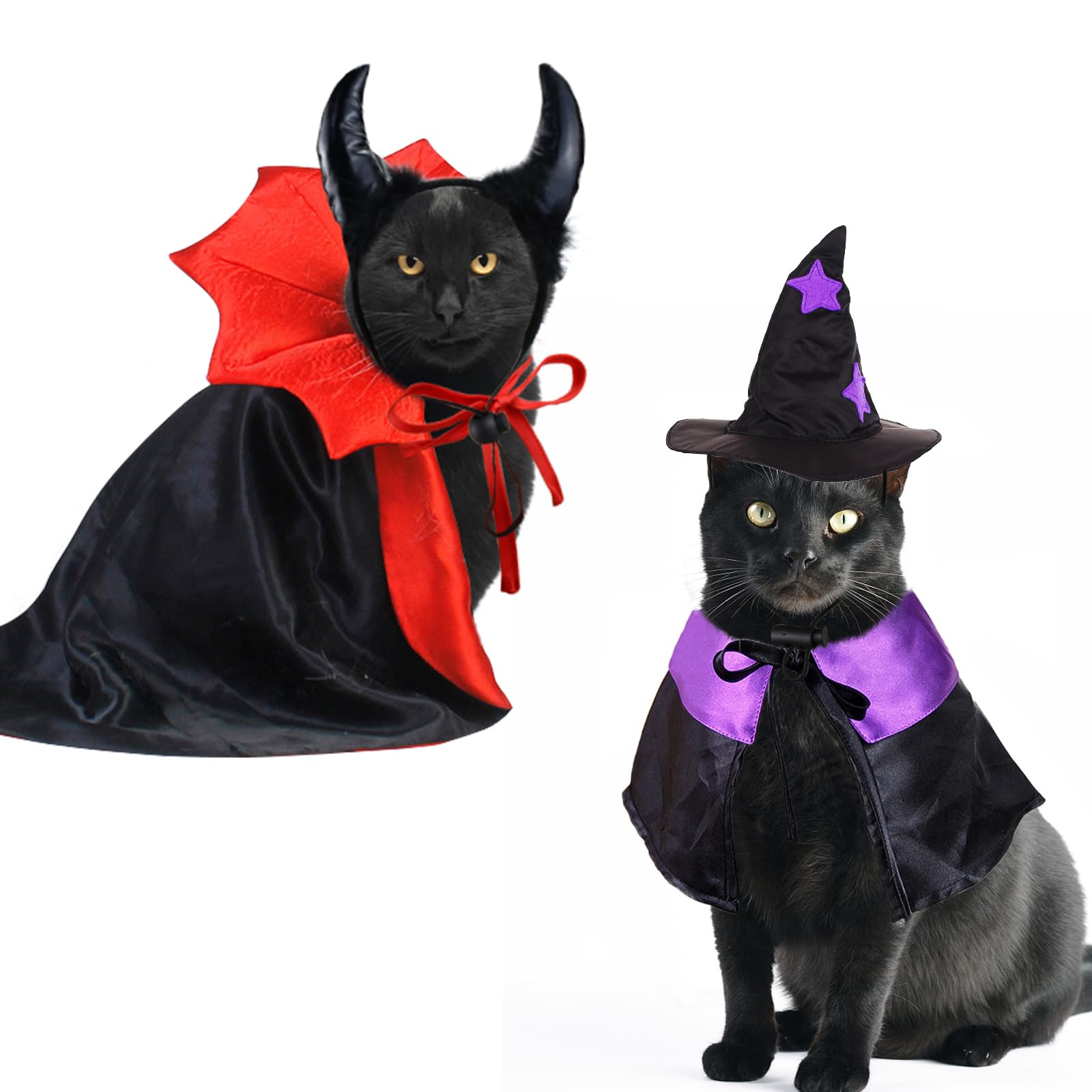 Halloween Hijinks: A Cat's Guide to the Spookiest of Days