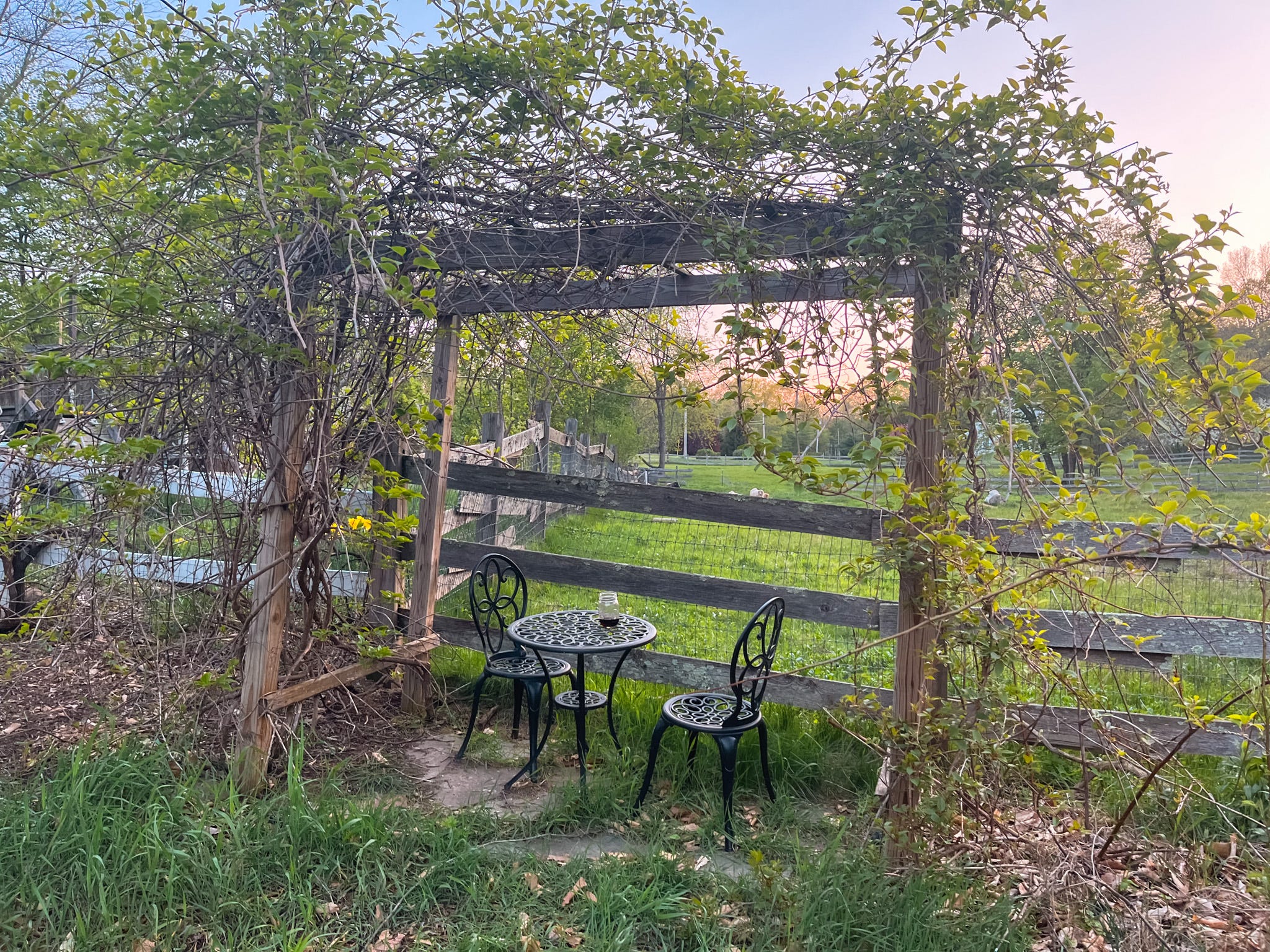 Do you Need a Lot of Acres to Homestead?