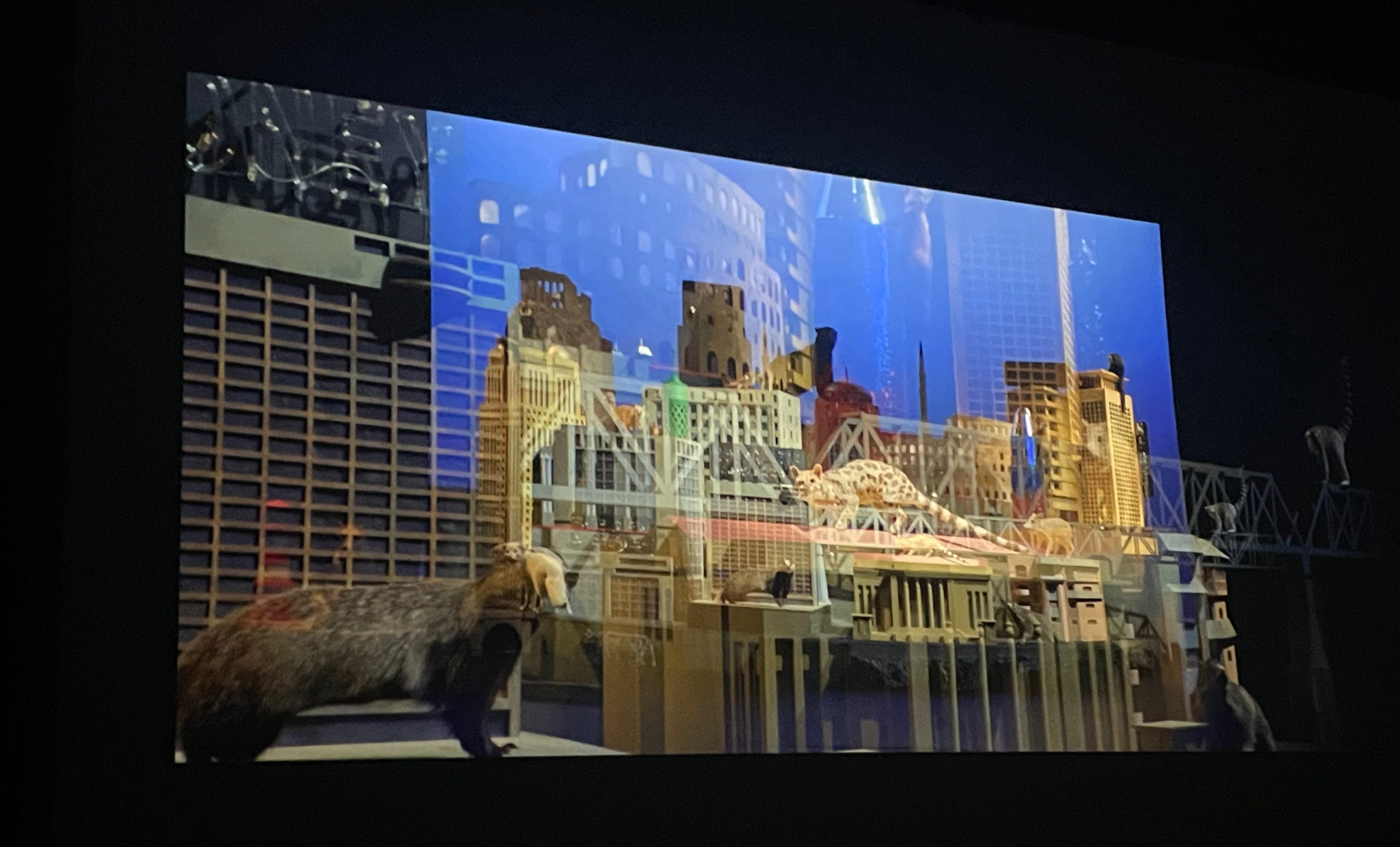 Grapevine // August 2024 - by Farrah Berrou - Aanab News