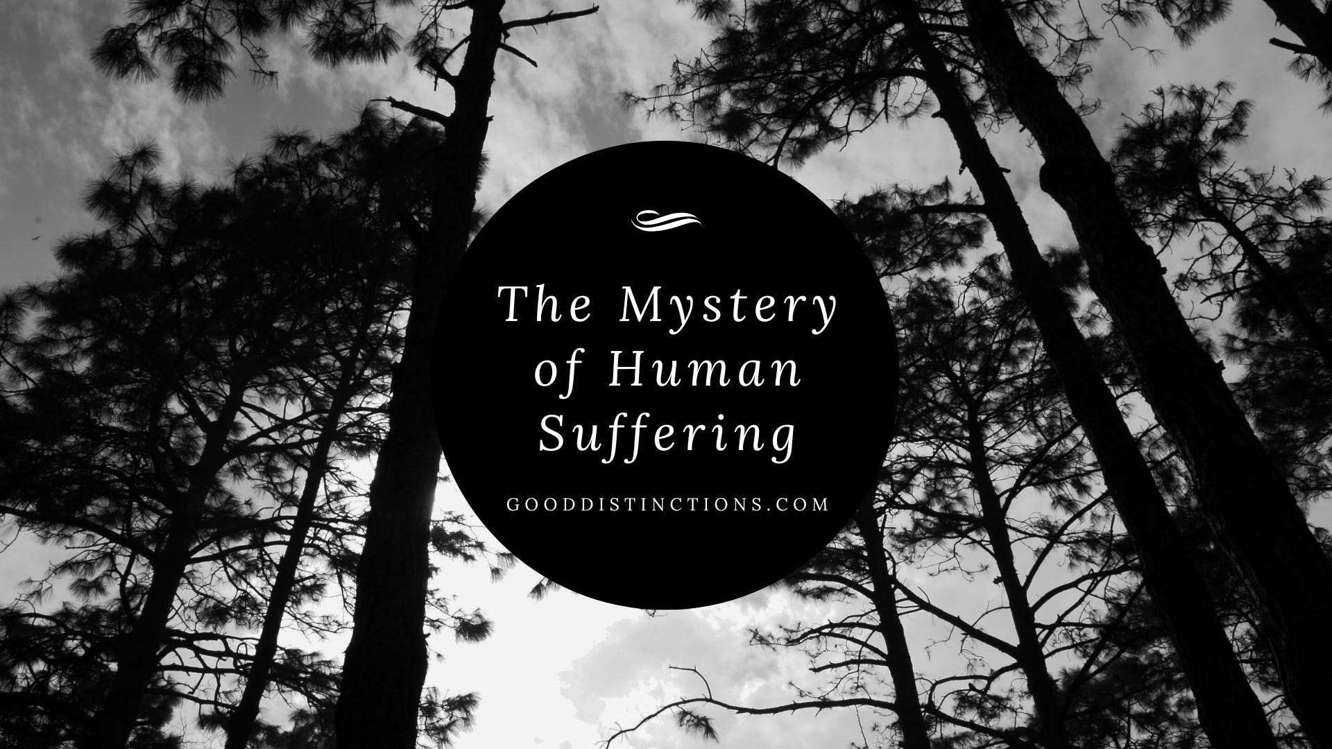 The Mystery of Human Suffering - by Will Wright