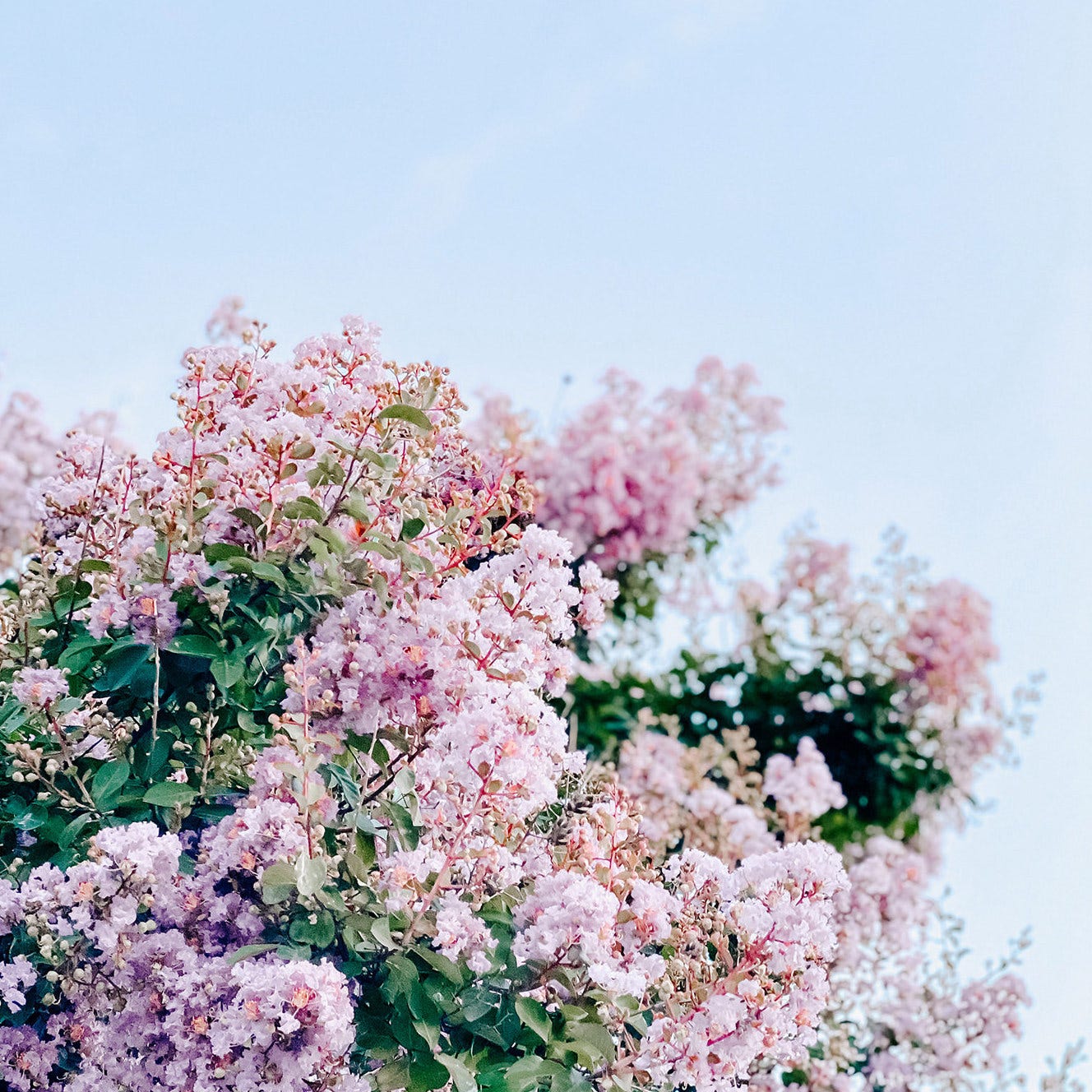 Moms. Will we ever just revolt. - Emily Ley’s Substack