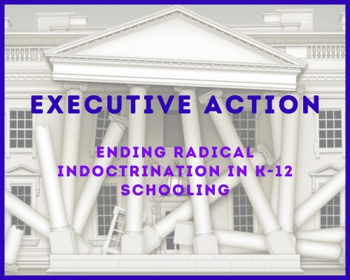 Ending Radical Indoctrination in K-12 Schooling