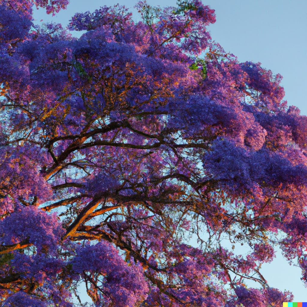 Jacaranda Dawn - by Lila Shroff - Love, Lila