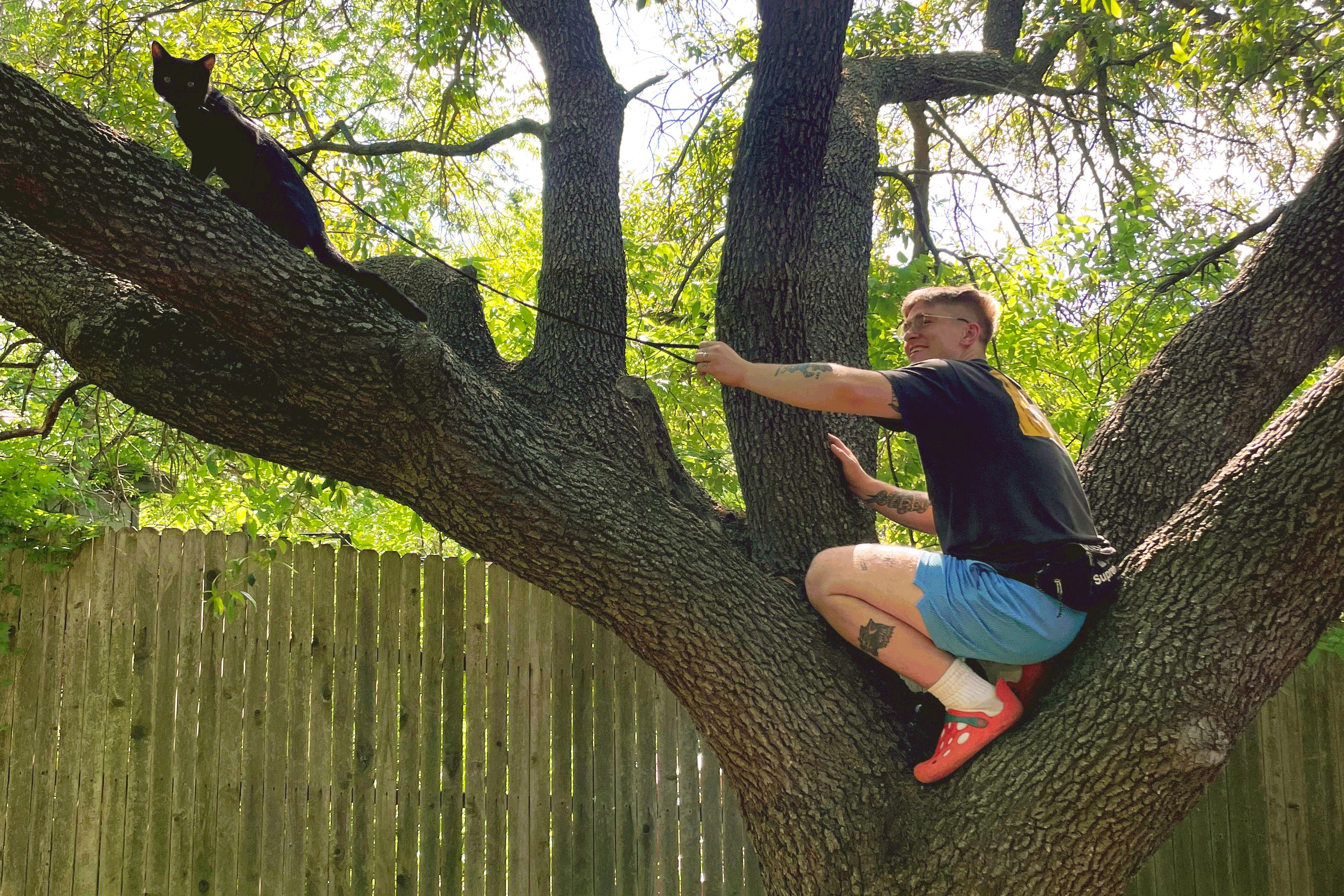 Citrus Freak of Science Fiction - by Alex Sparks - OnlyOnly