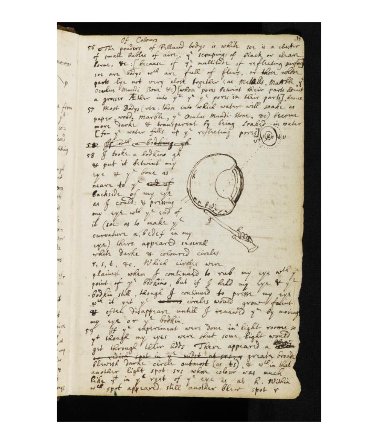 Newton's Eccentric Experiment Notes - by Jillian Hess