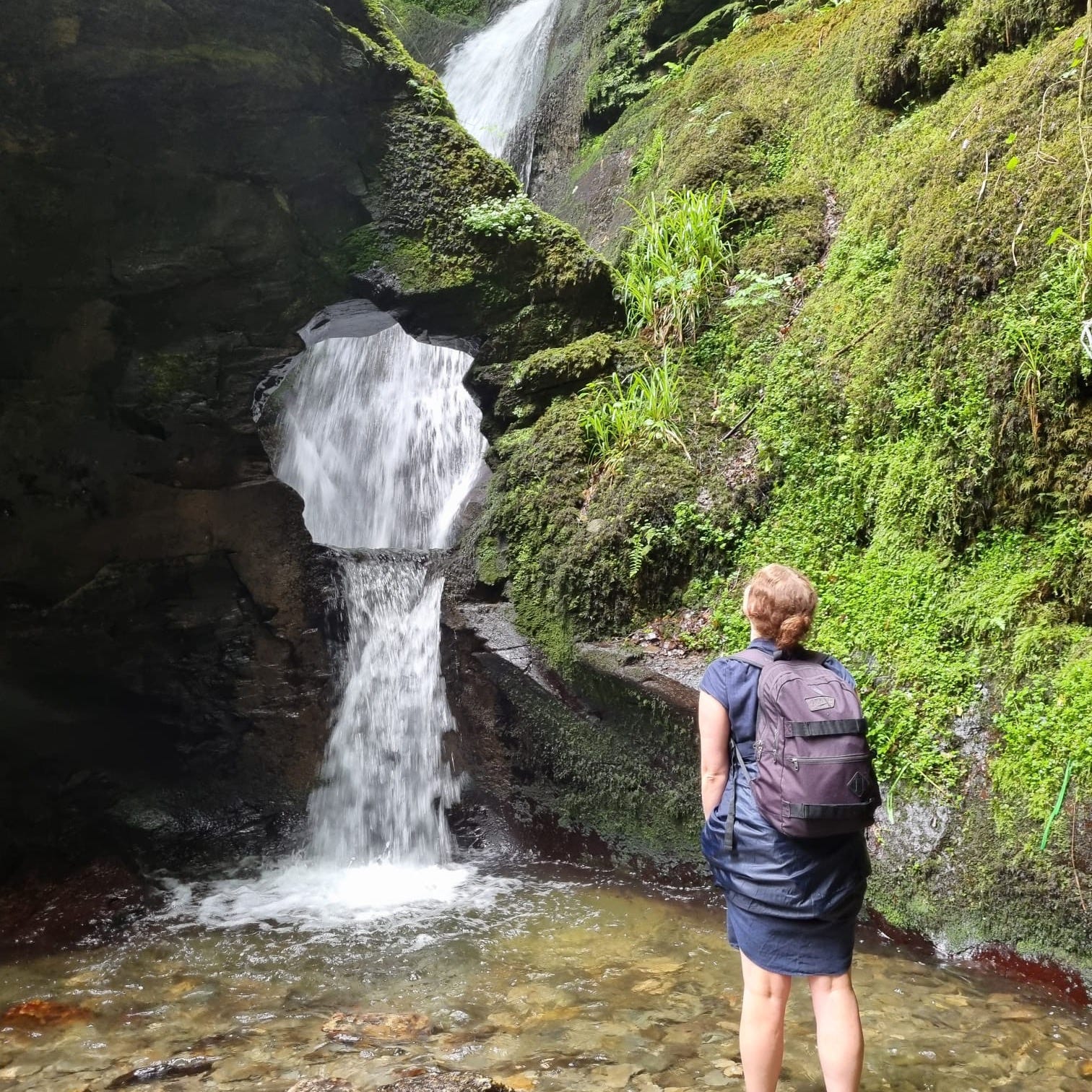 Bonnie Radcliffe | Substack