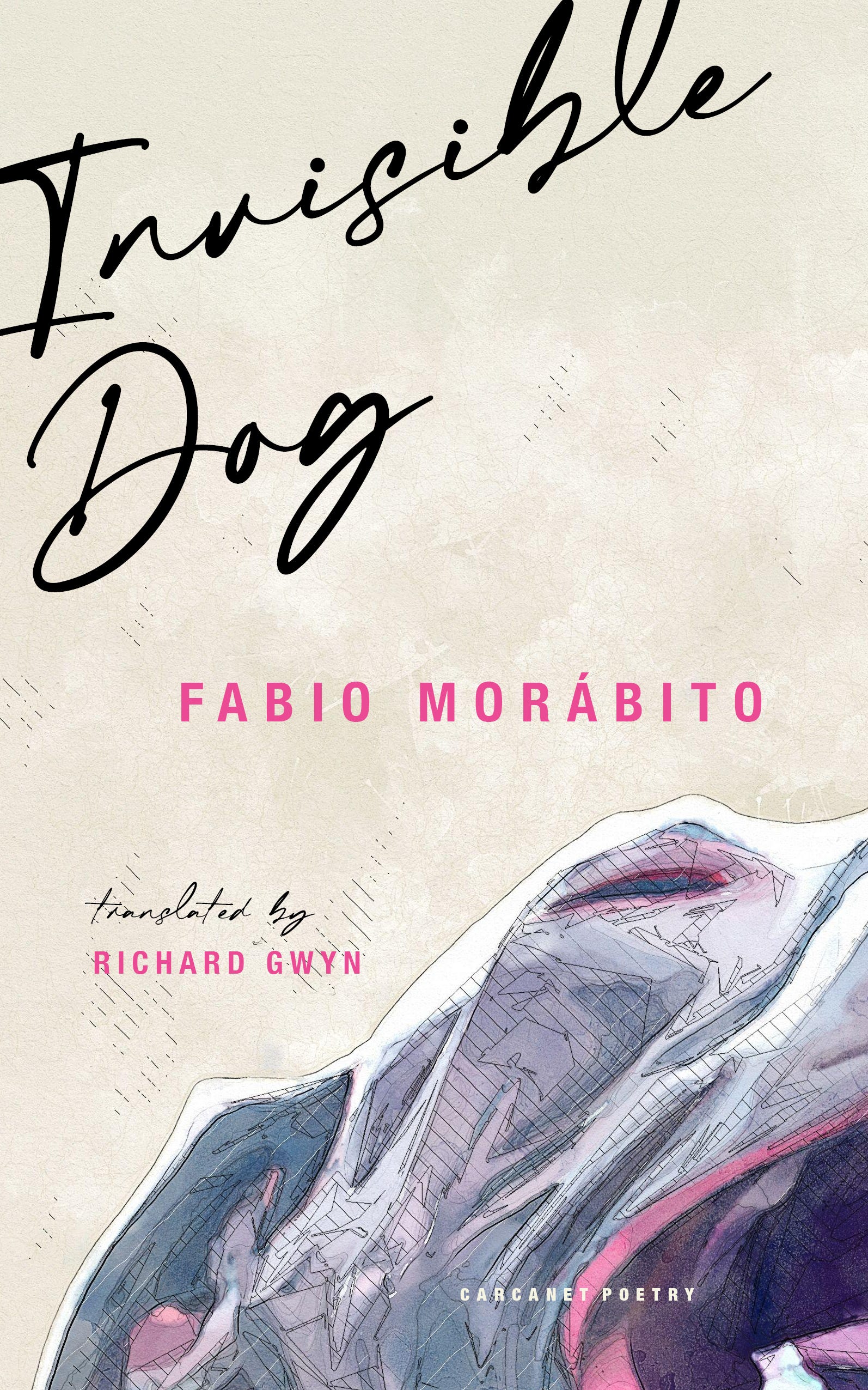 Invisible Dog: Fabio Morábito, translated by Richard Gwyn