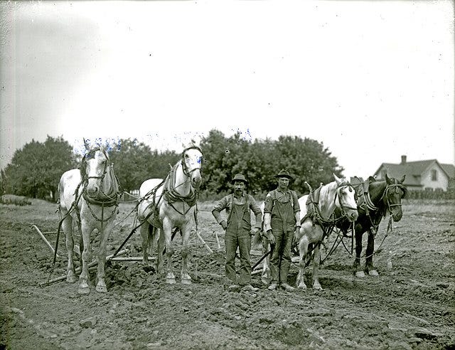 A Brief Summary of Georgism - by Matthew Downhour