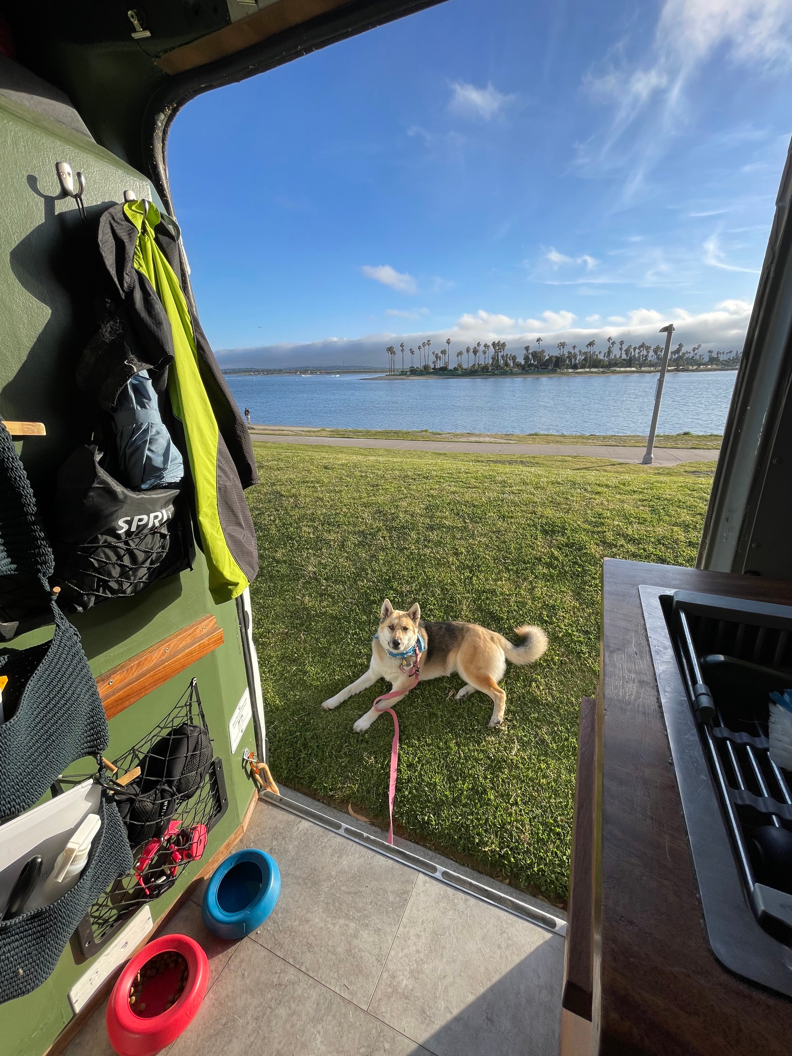 A Van-Life Guide to Finding Reliable, Free Parking Almost Anywhere