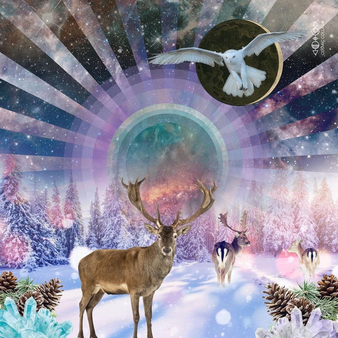 THROUGH THE SOLSTICE, YULE AND NEW YEAR - Lorna Bevan