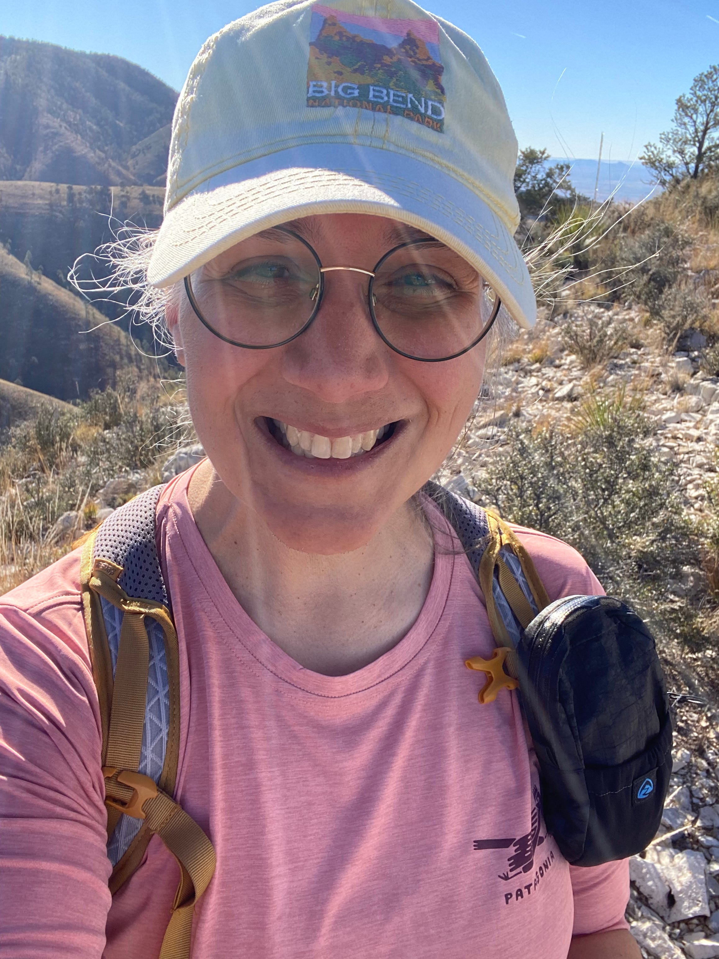 Lisa Spangler | Substack