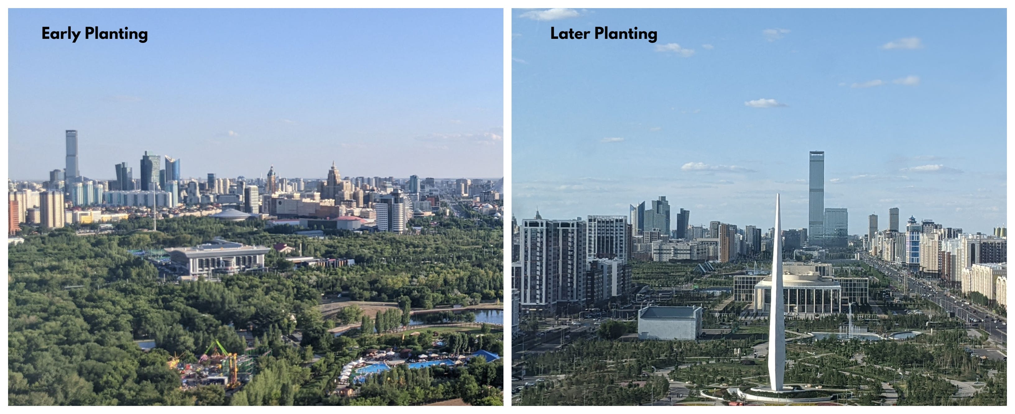 Eastern Travels - Kazakhstan - Growing trees on the Steppe, Street ...