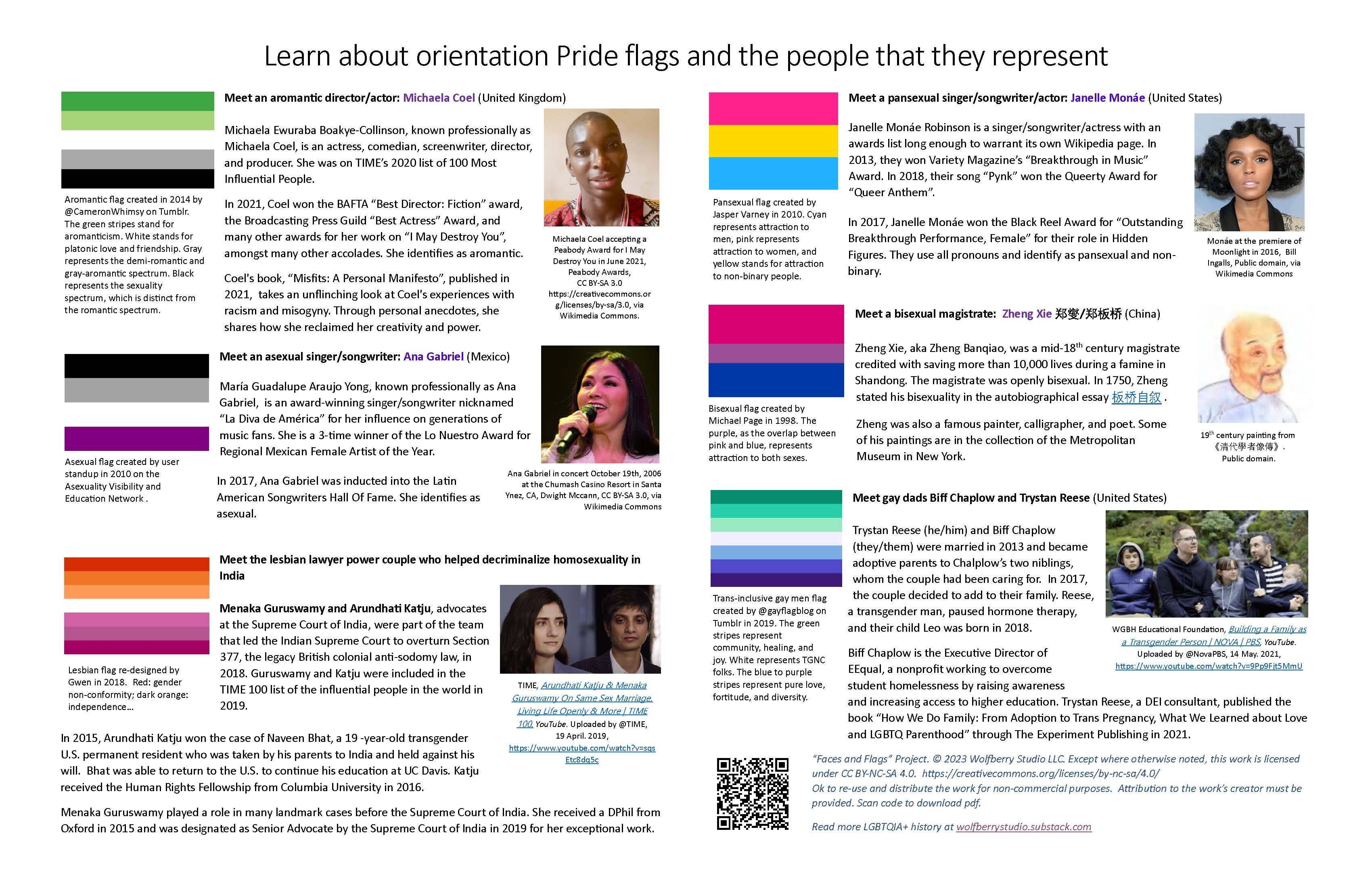 Orientation pride flags and the people that they represent