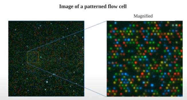 Singular Genomics Patterned Flowcells? - by Nava Whiteford